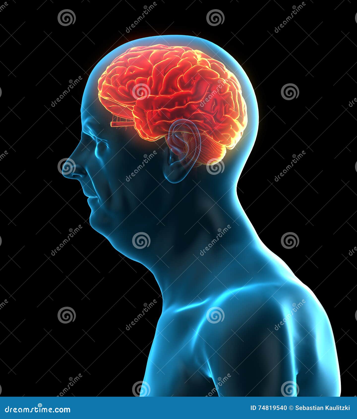 An old manÂ´s brain stock illustration. Illustration of dementia - 74819540