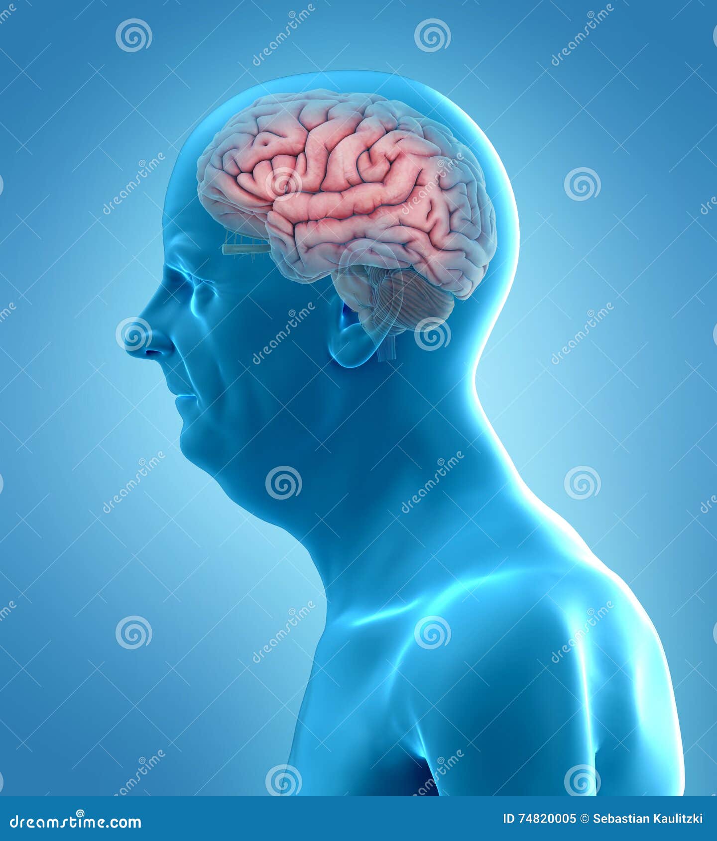 An old manÂ´s brain stock illustration. Illustration of dementia - 74820005