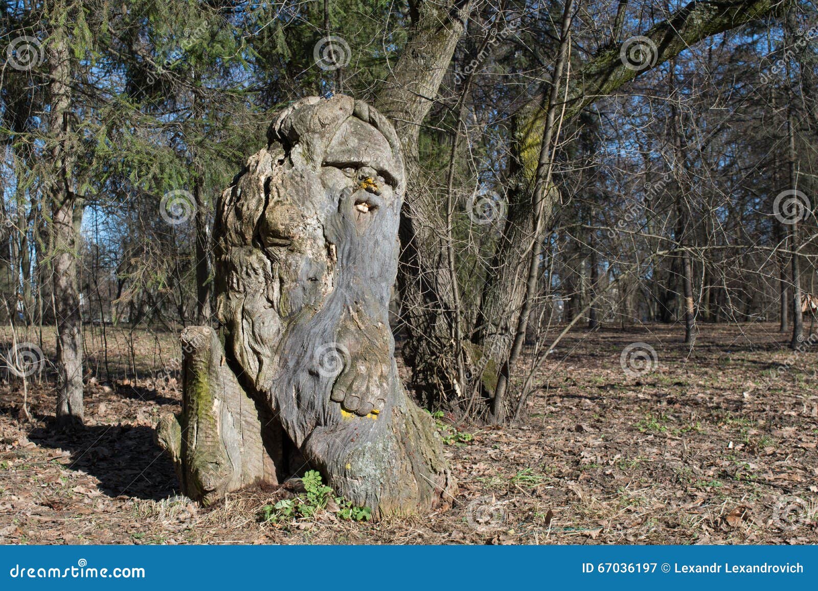 Old Man Sculpture Carved from Tree in the Sunny Forest Stock Image ...