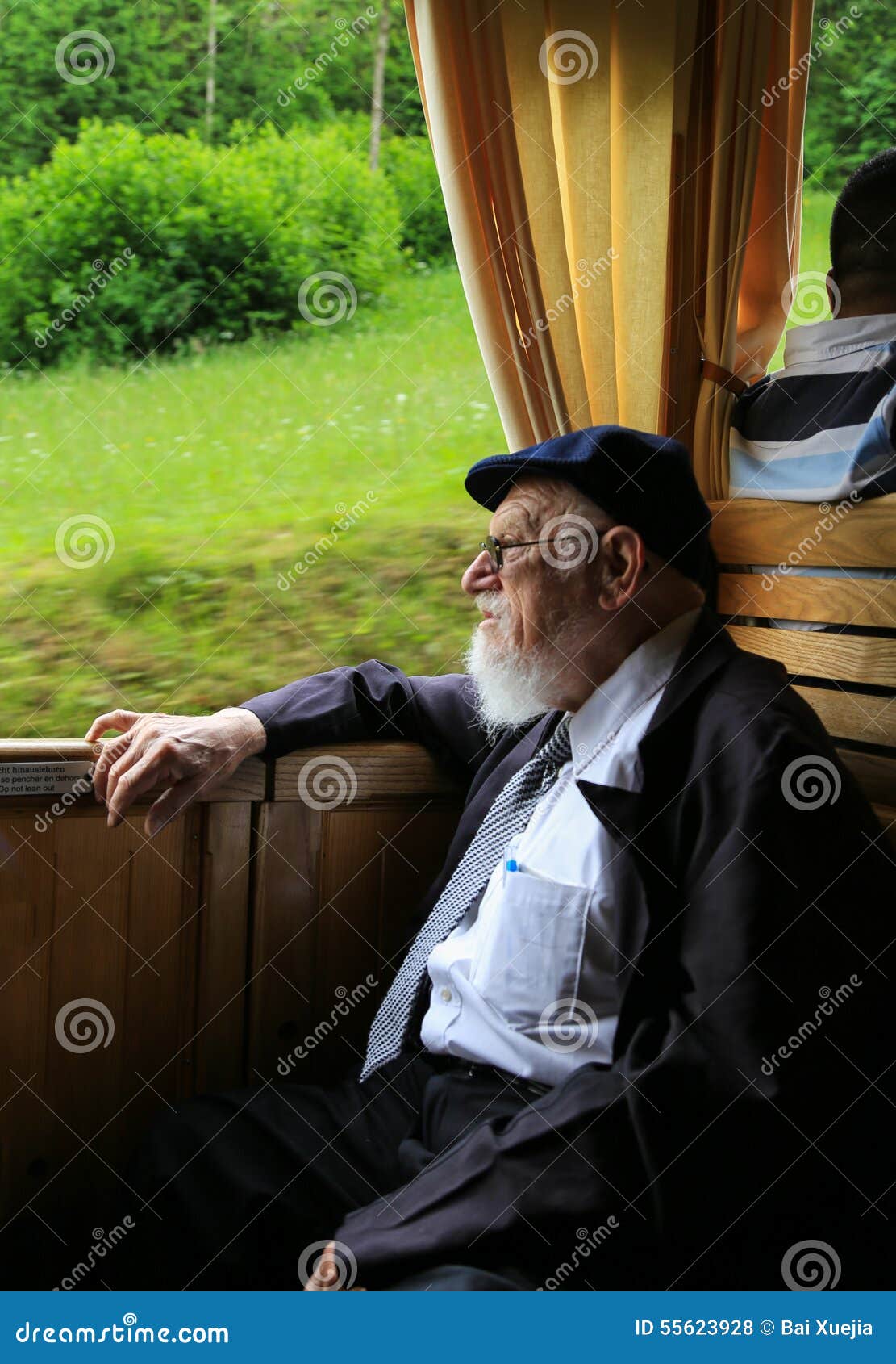 The Old Man in the Sightseeing Train,the Alps,switzerland Editorial ...