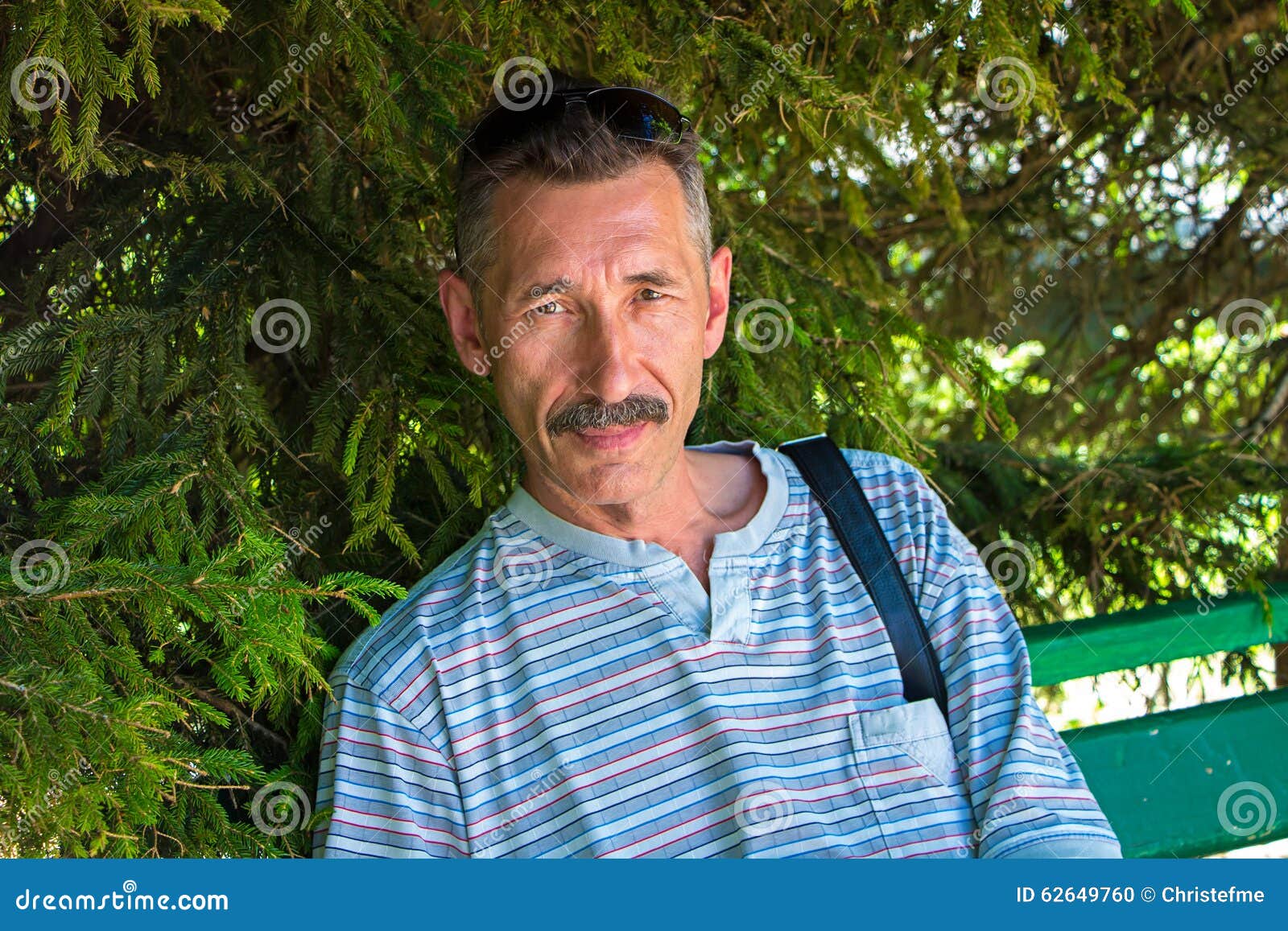 Old Man Sitting Under the Tree Stock Photo - Image of journey, senior ...