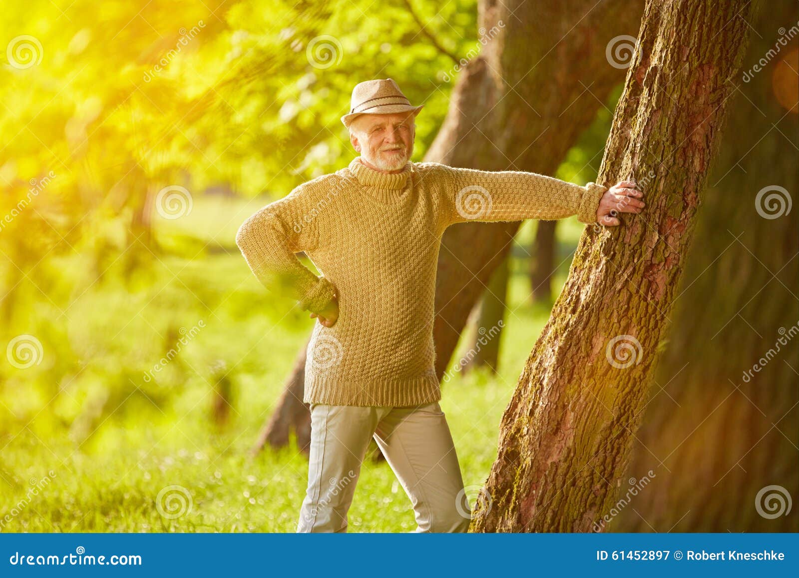 Old Man in Summer in a Forest Stock Image - Image of park, outside ...