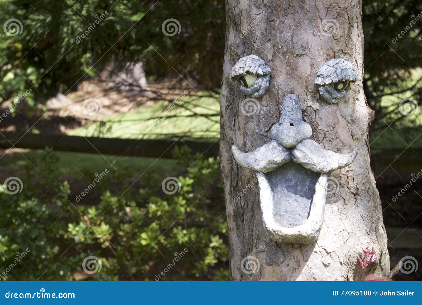 Old man tree face stock photo. Image of tree, abstract - 77095180