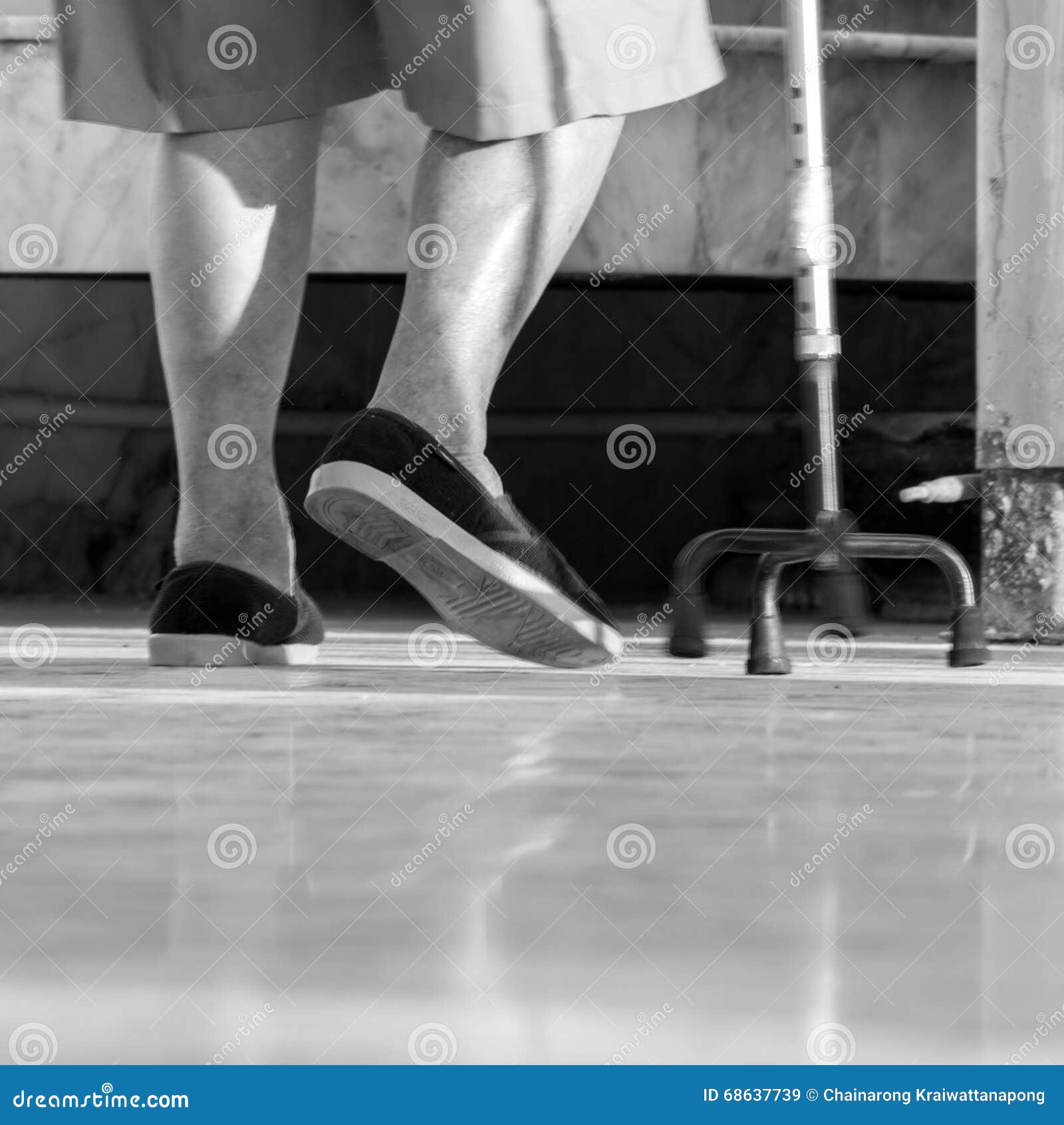 The Old Man Use a Walking Stick Stock Image - Image of seventies, stick ...