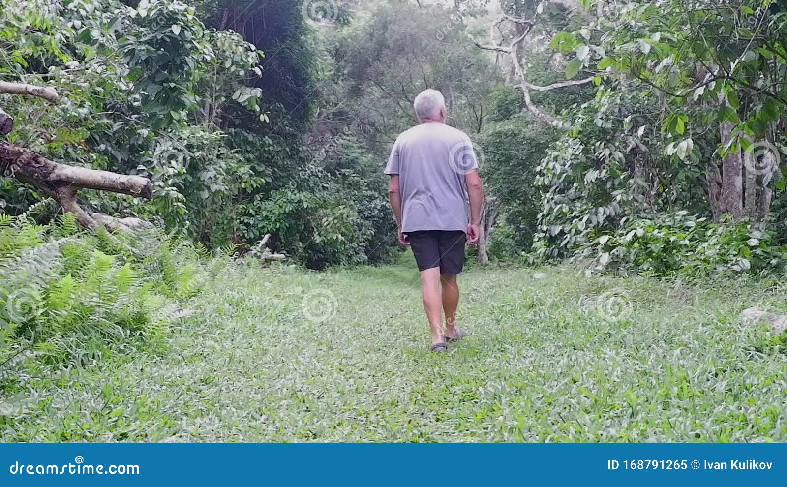 An Old Man Walking Alone in the Jungle. Stock Video - Video of live ...
