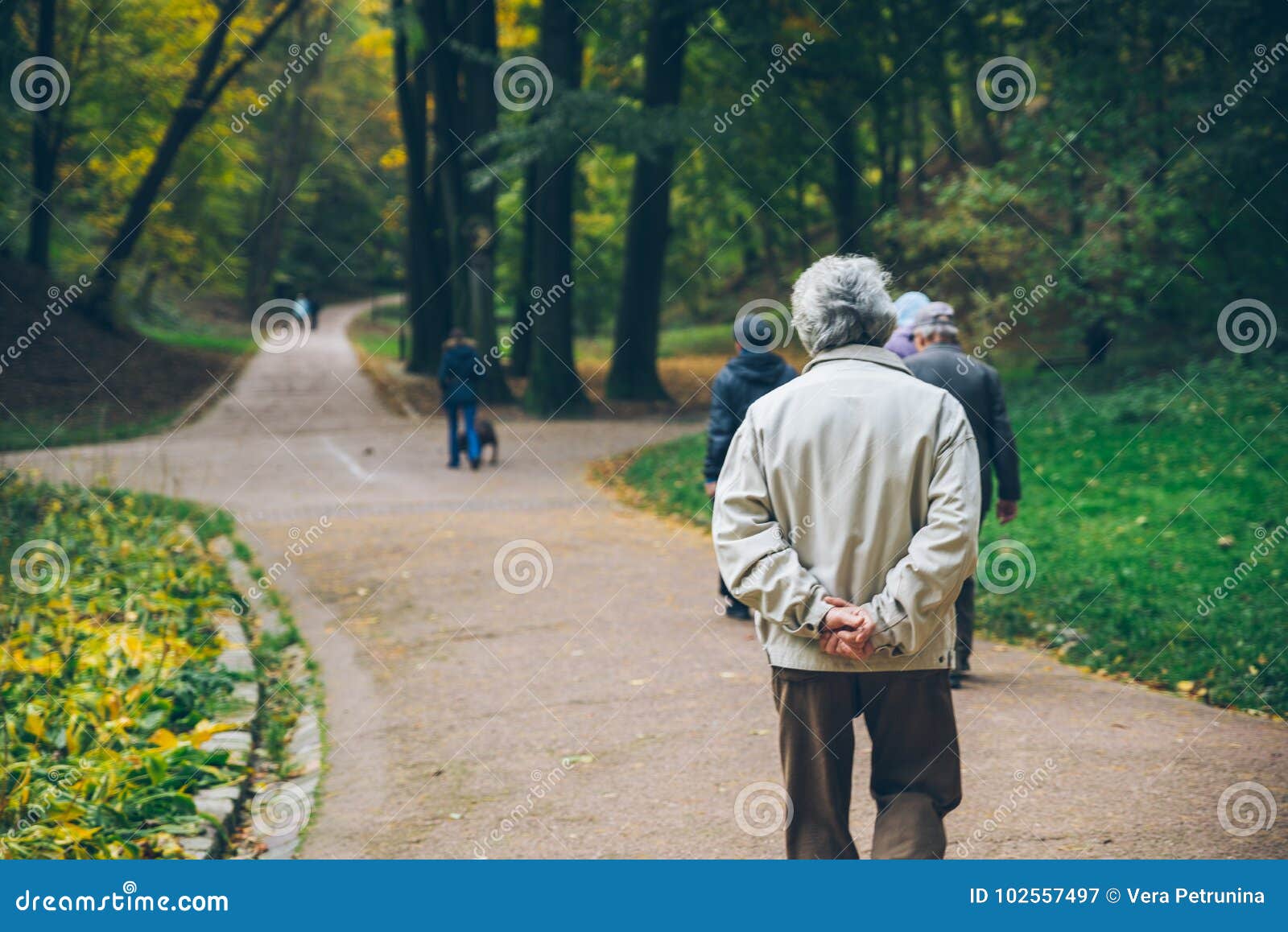 Old Man Walking by Autumn Park Editorial Photography - Image of ...