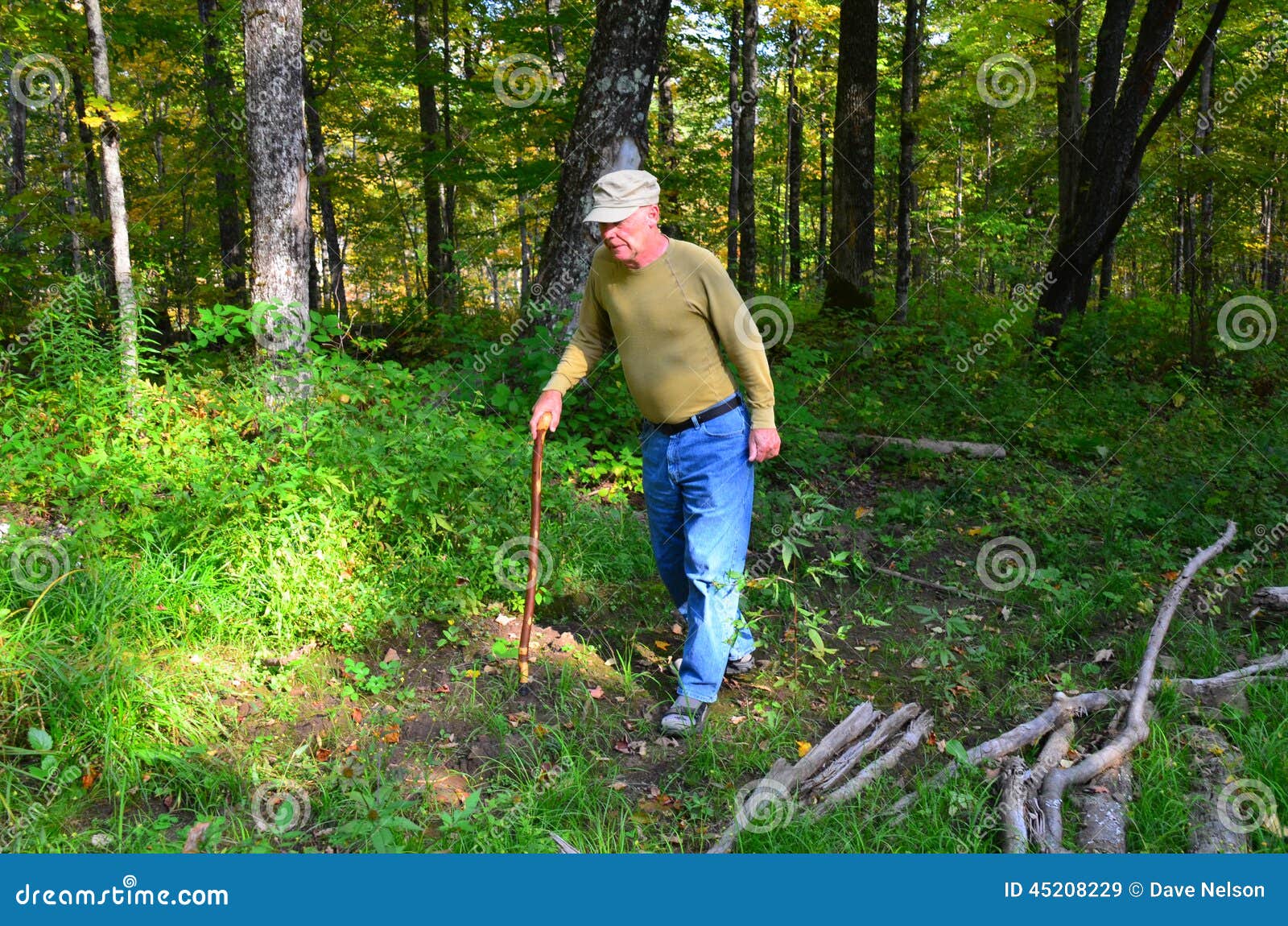 Old man walking in forest stock image. Image of cane - 45208229