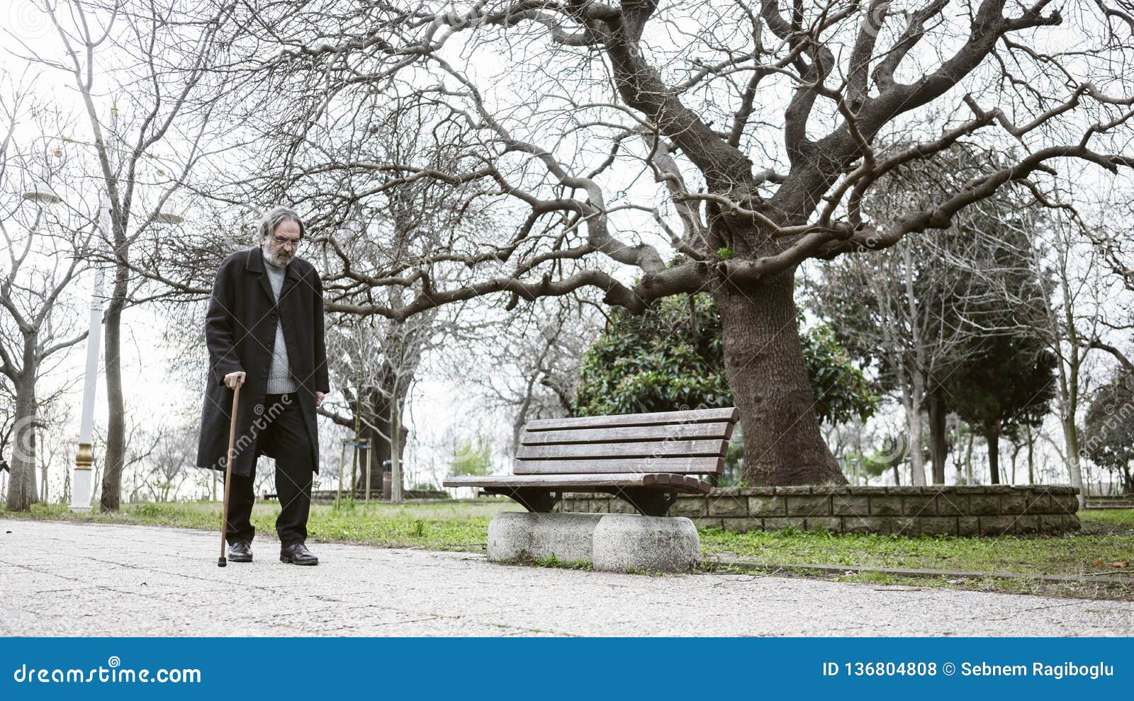 Old Man Walking in the Park Stock Photo - Image of walk, male: 136804808