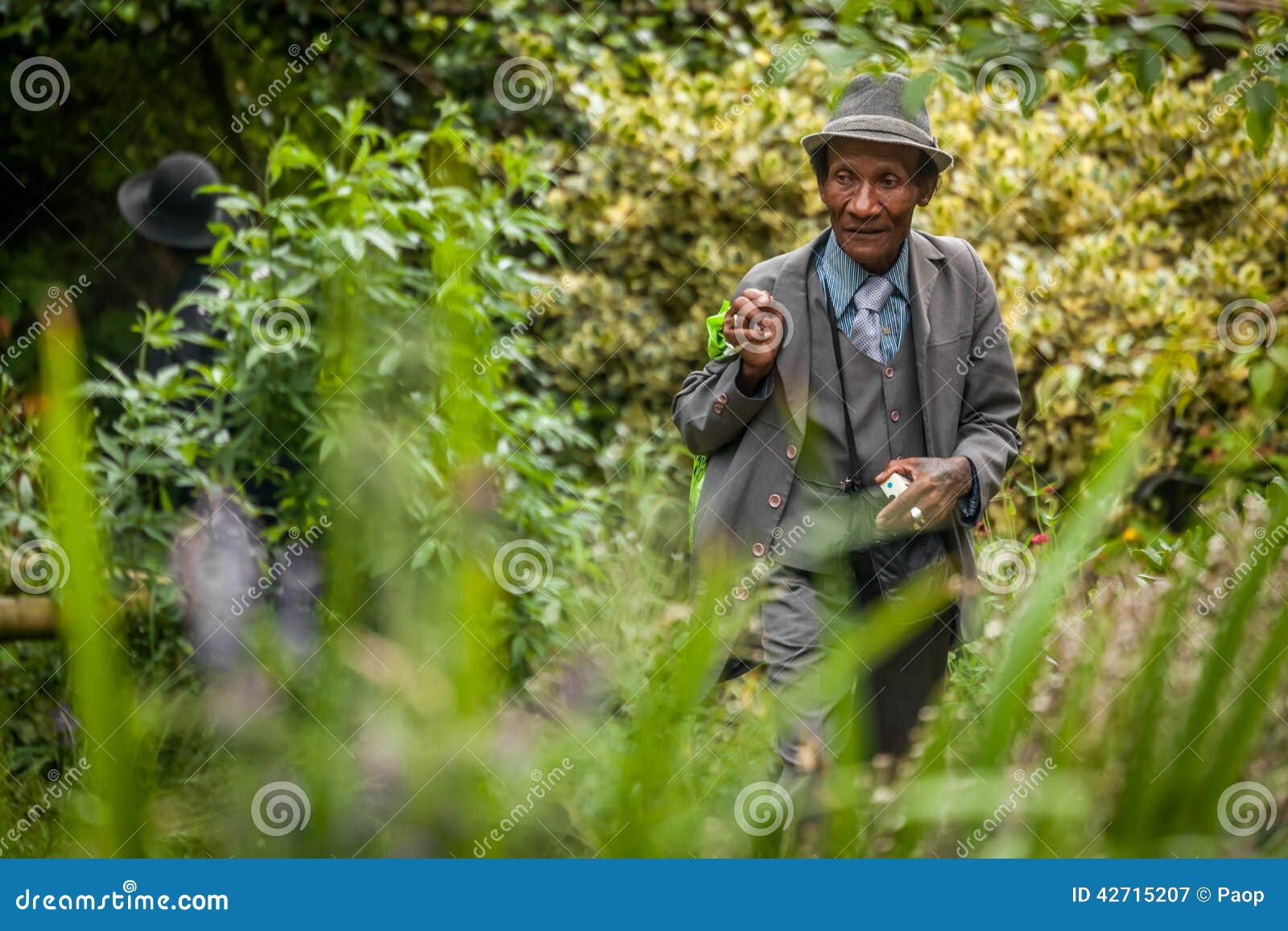Old Man Walking in the Park Editorial Photography - Image of gray ...