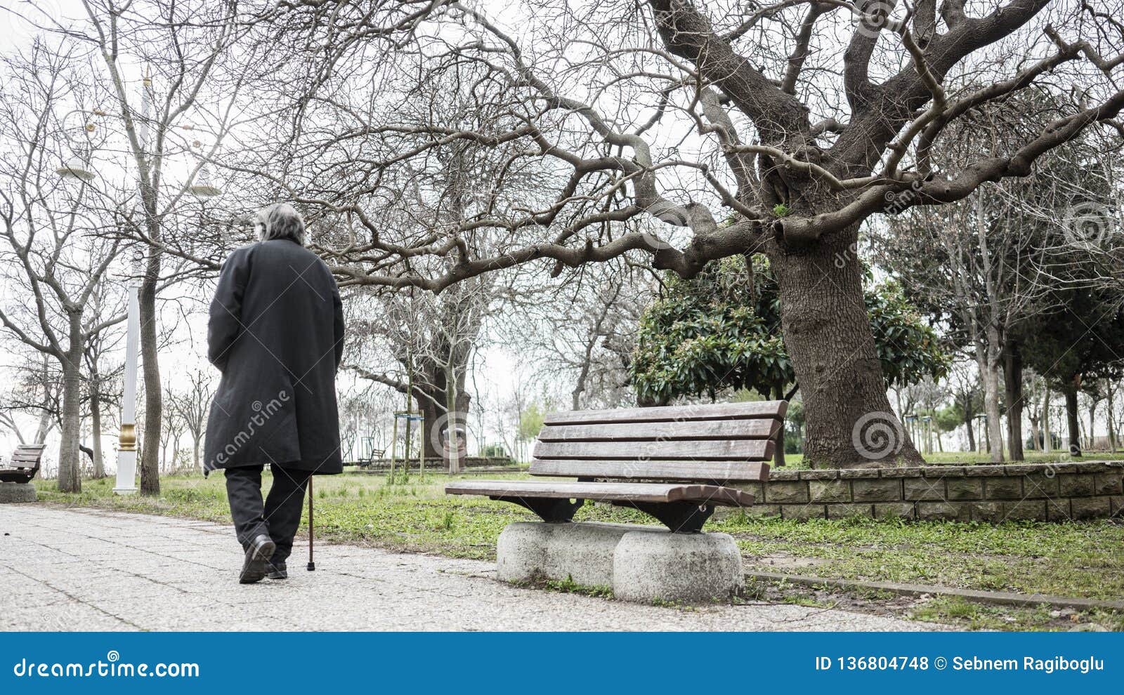 Old Man Walking in the Park Stock Photo - Image of elderly, mature ...