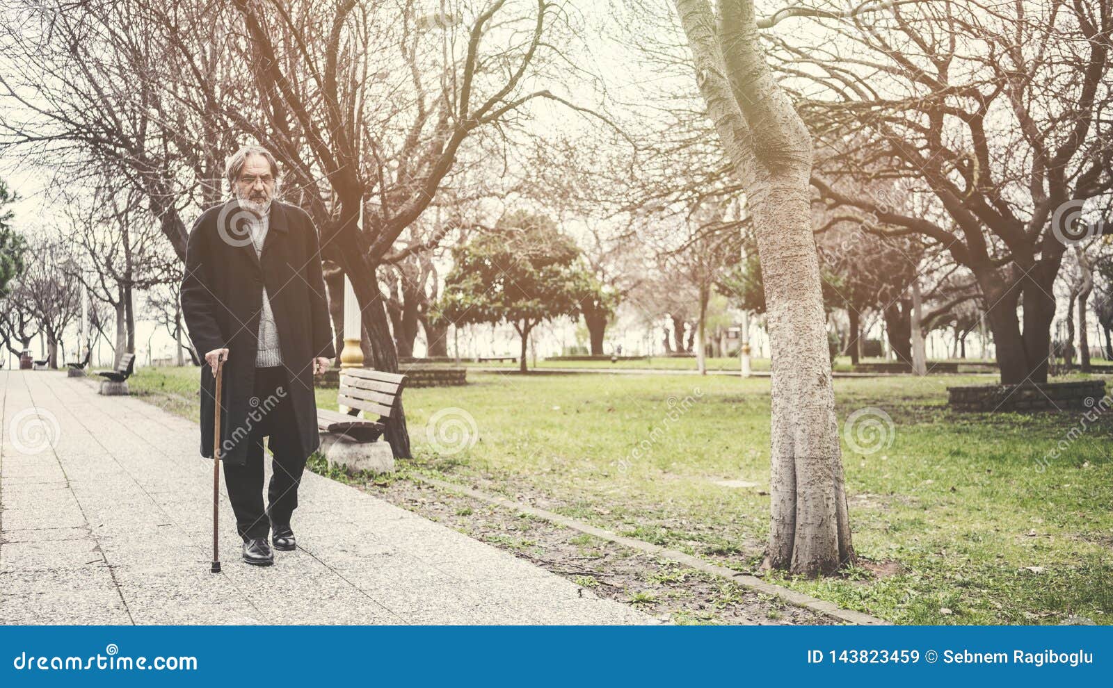 Old Man Walking in the Park Stock Image - Image of city, outdoors ...