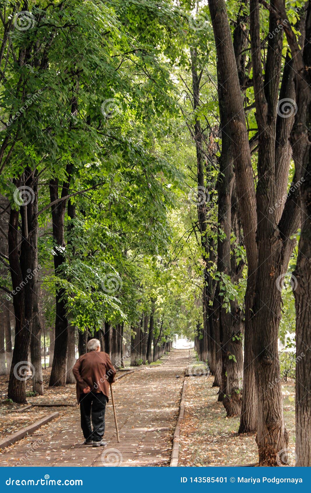 Old Man Walking in the Summer Park Editorial Photo - Image of lonely ...