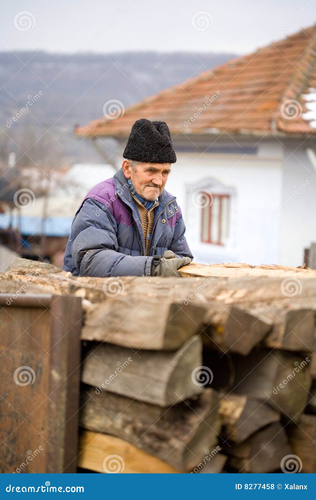 Old man at work stock photo. Image of farmer, heat, logs - 8277458