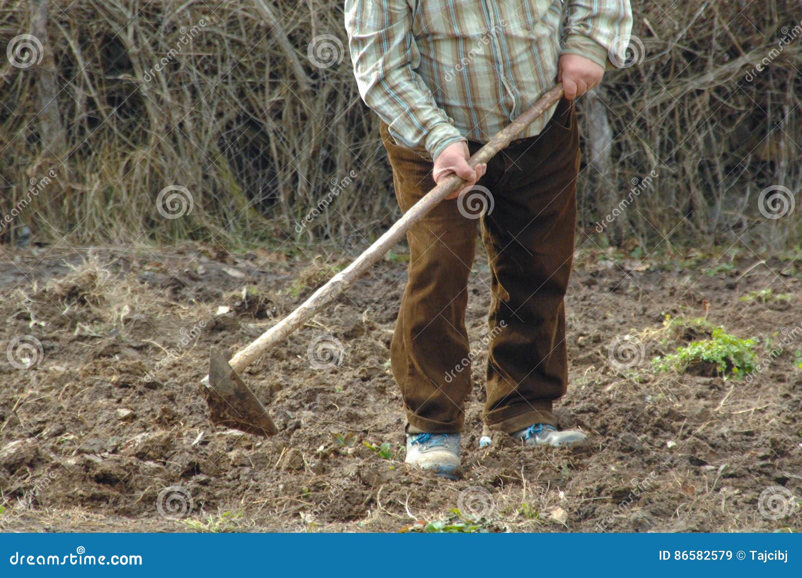 Old Man Work with Hoe Praparing Stock Image - Image of planting, roots ...