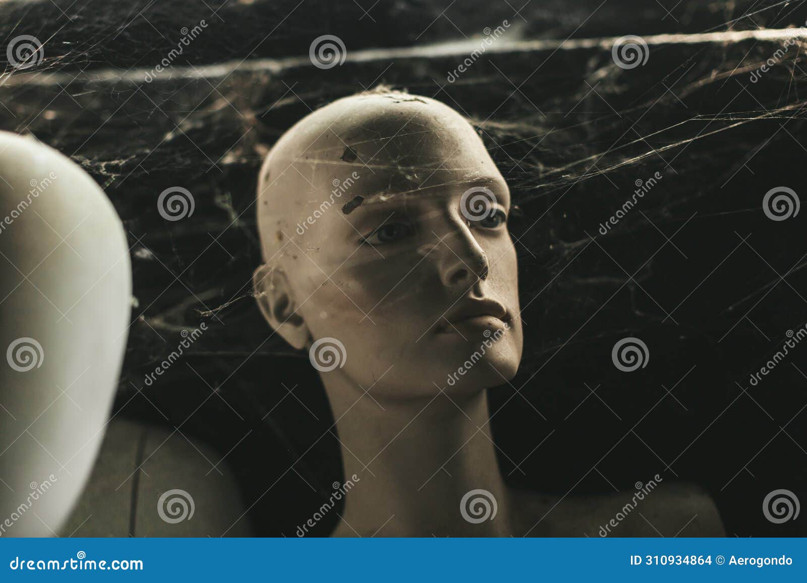 Old Mannequin Doll Head with Spider Web Stock Photo - Image of dusty ...
