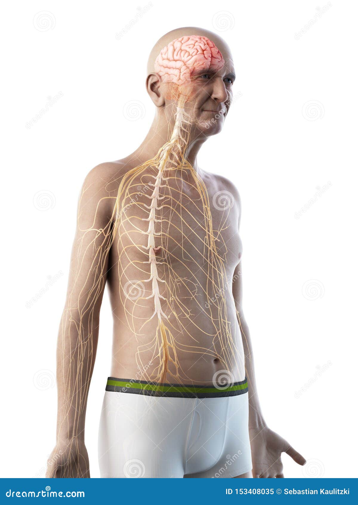 An old mans nerves stock illustration. Illustration of nervous - 153408035