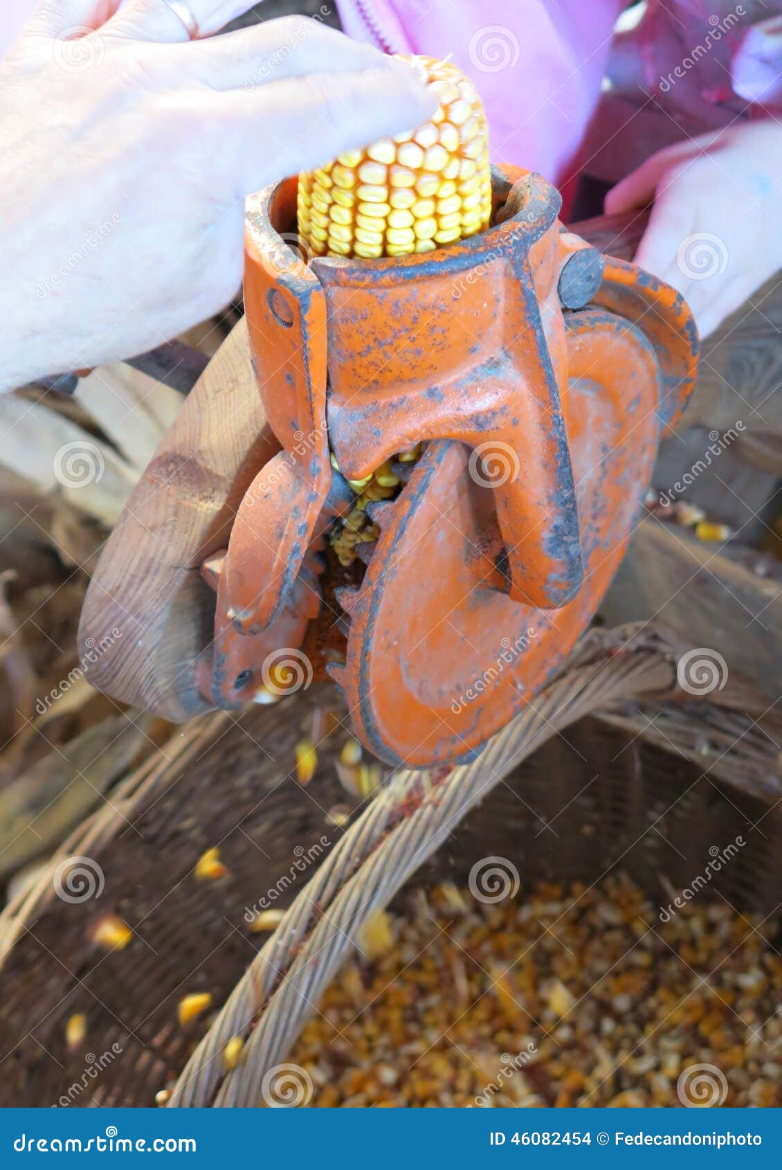 Old Manual Machine To Remove Yellow Corn from the Cob Seed Stock Photo ...