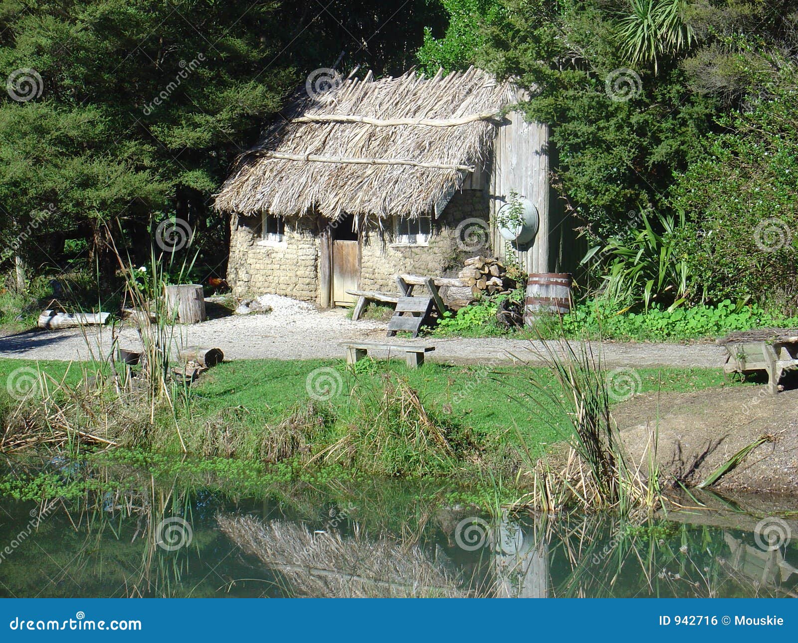 927 Maori Old Photos - Free & Royalty-Free Stock Photos from Dreamstime