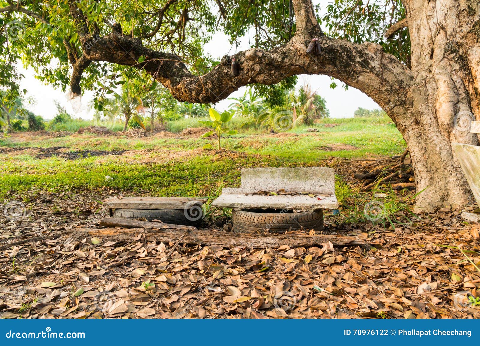 Old Marble Benches Under Old Tree Stock Photo - Image of chair ...
