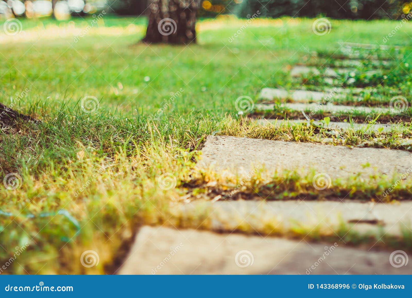 Tiles on grass stock photo. Image of backdrop, cracks - 143368996