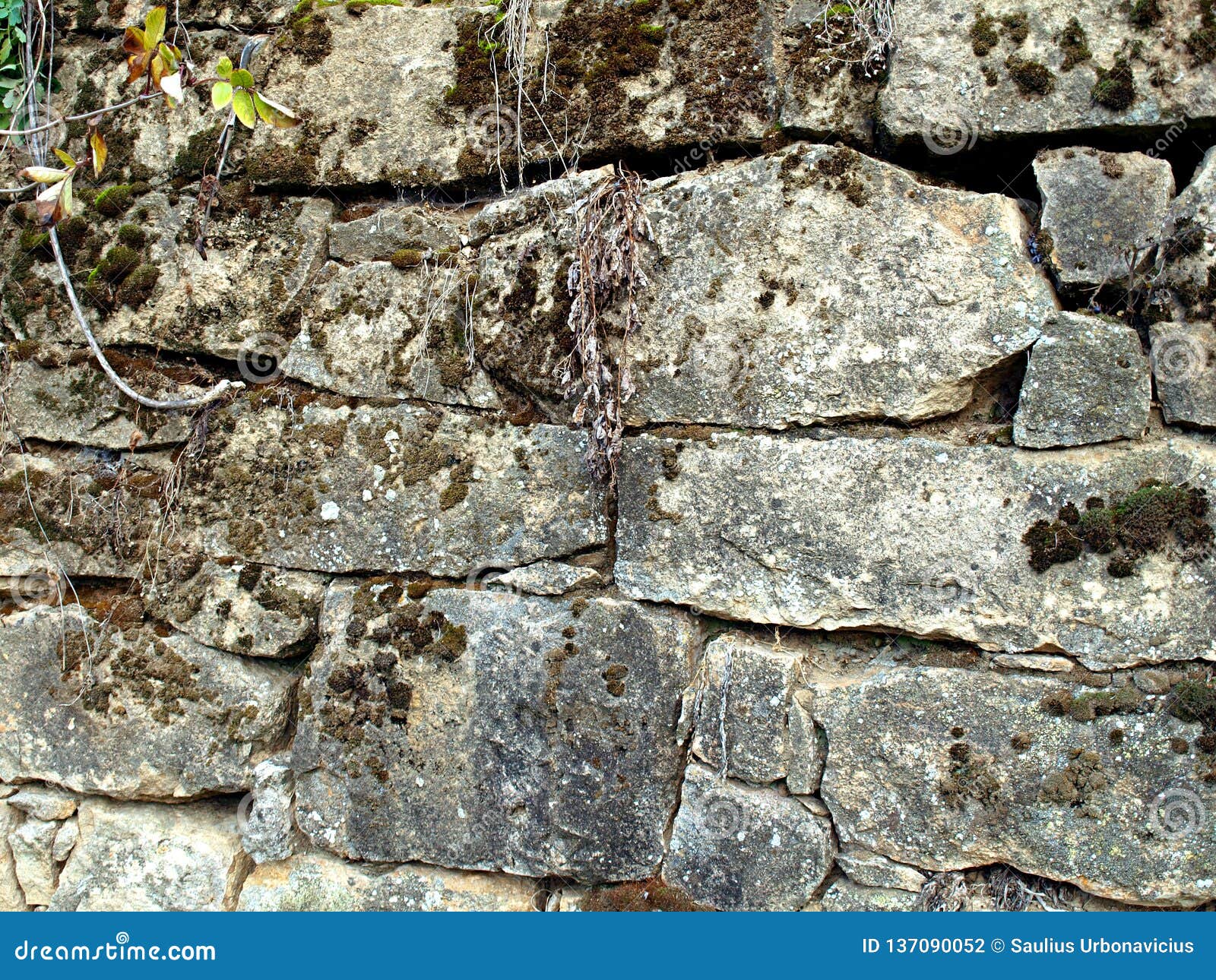 Old Masonry Covered with Moss and Withered Grass Stock Photo - Image of ...