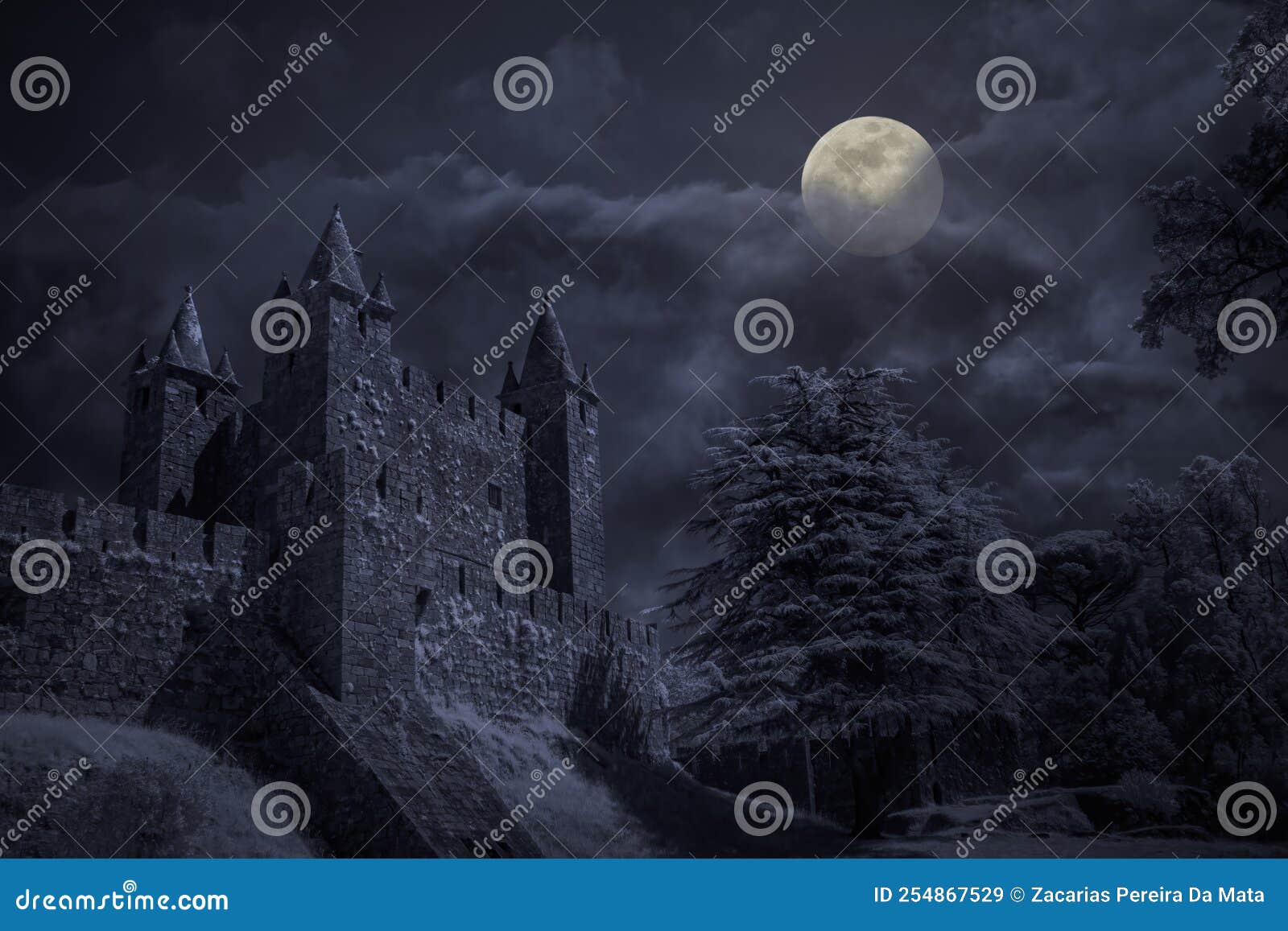 Medieval Castle in a Full Moon Night Stock Illustration - Illustration ...
