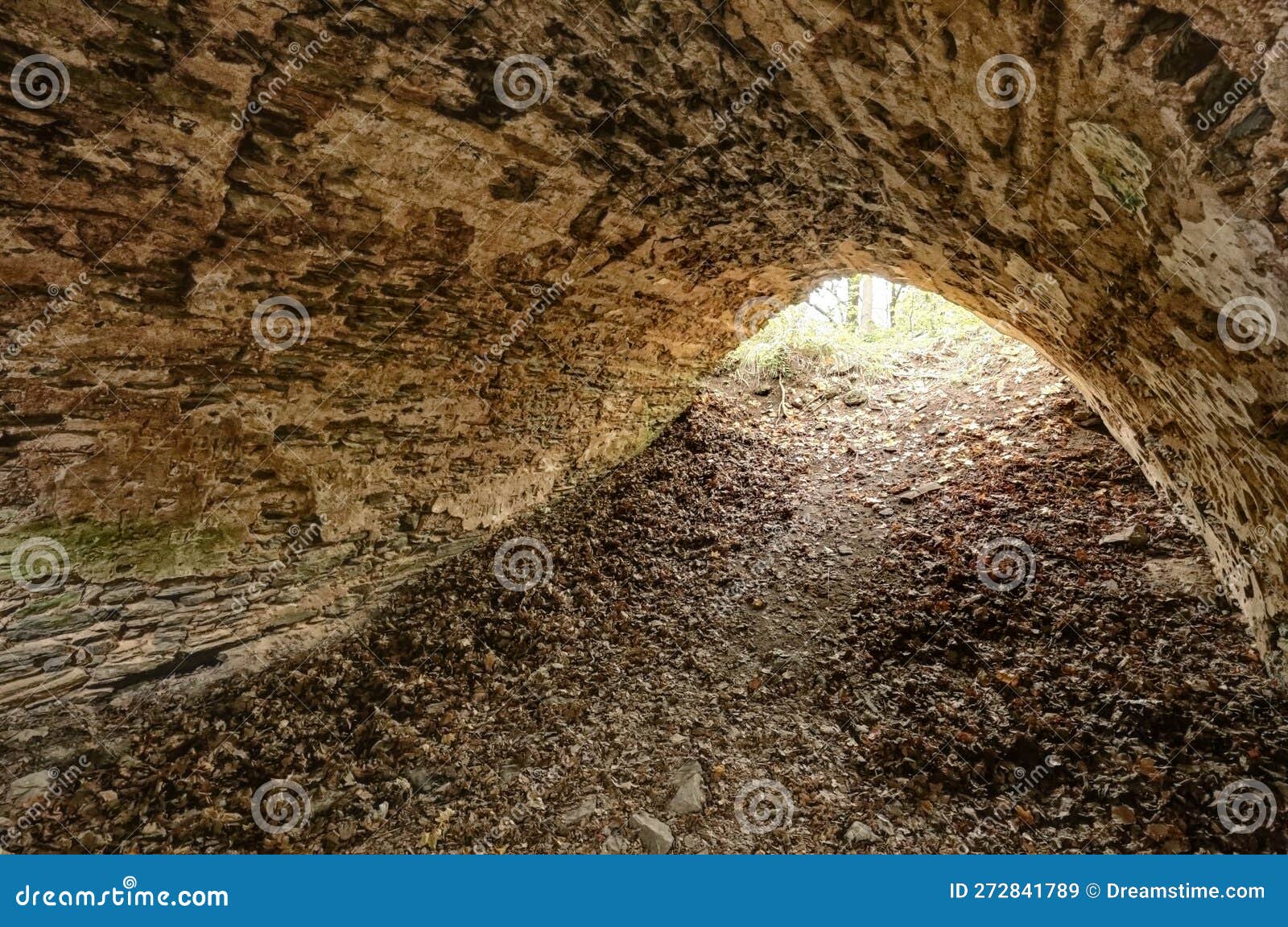 Old Medieval Vault Filled with Foliage Stock Image - Image of pattern ...