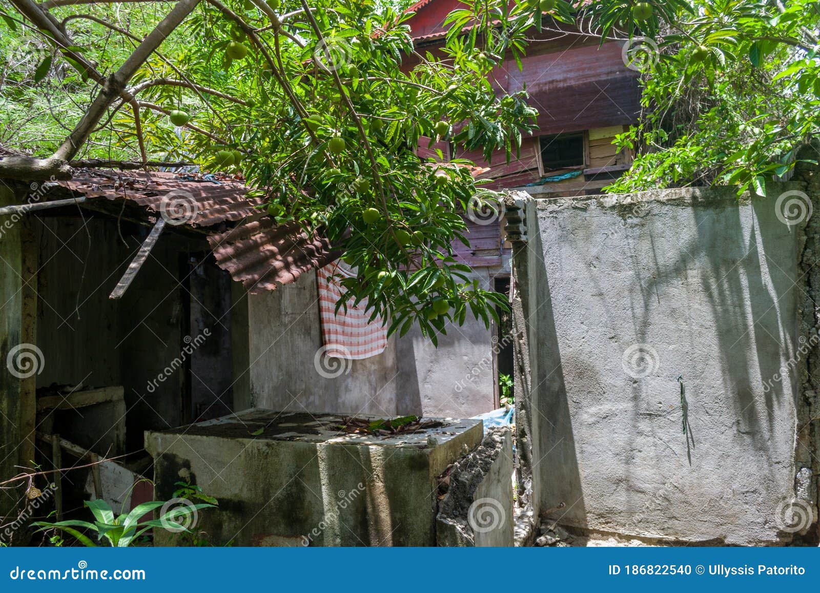 Old and Messy Abandoned House in the Forest Stock Photo - Image of ...
