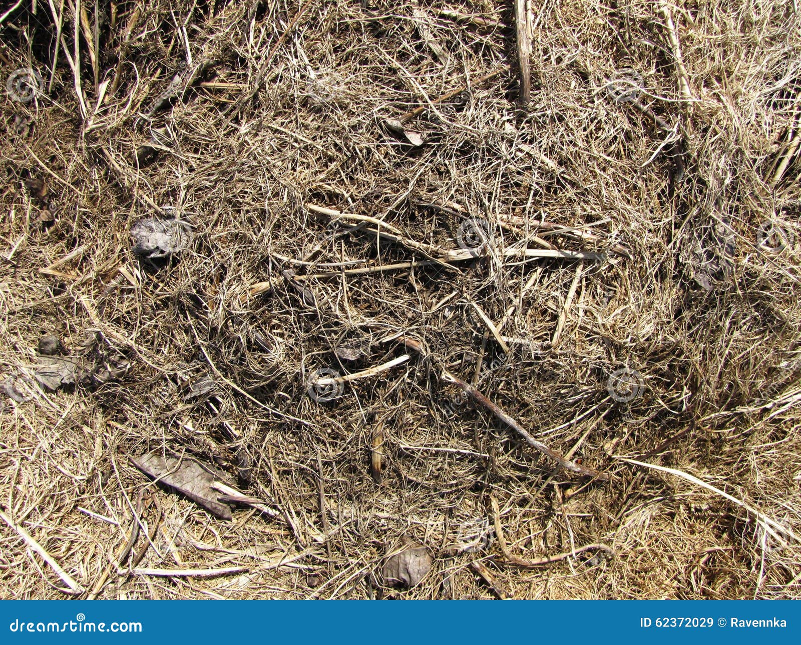 Old and Messy Hay (straw) Background Stock Image - Image of bale ...