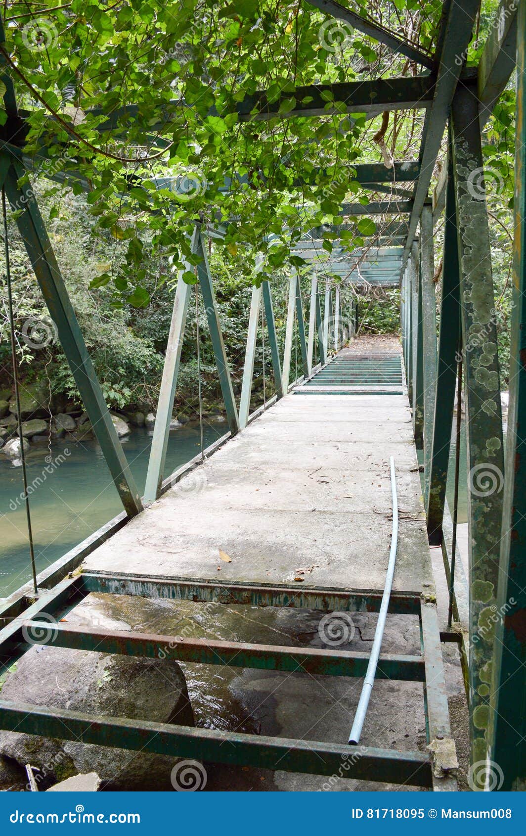 Old metal bridge stock image. Image of nature, walkway - 81718095