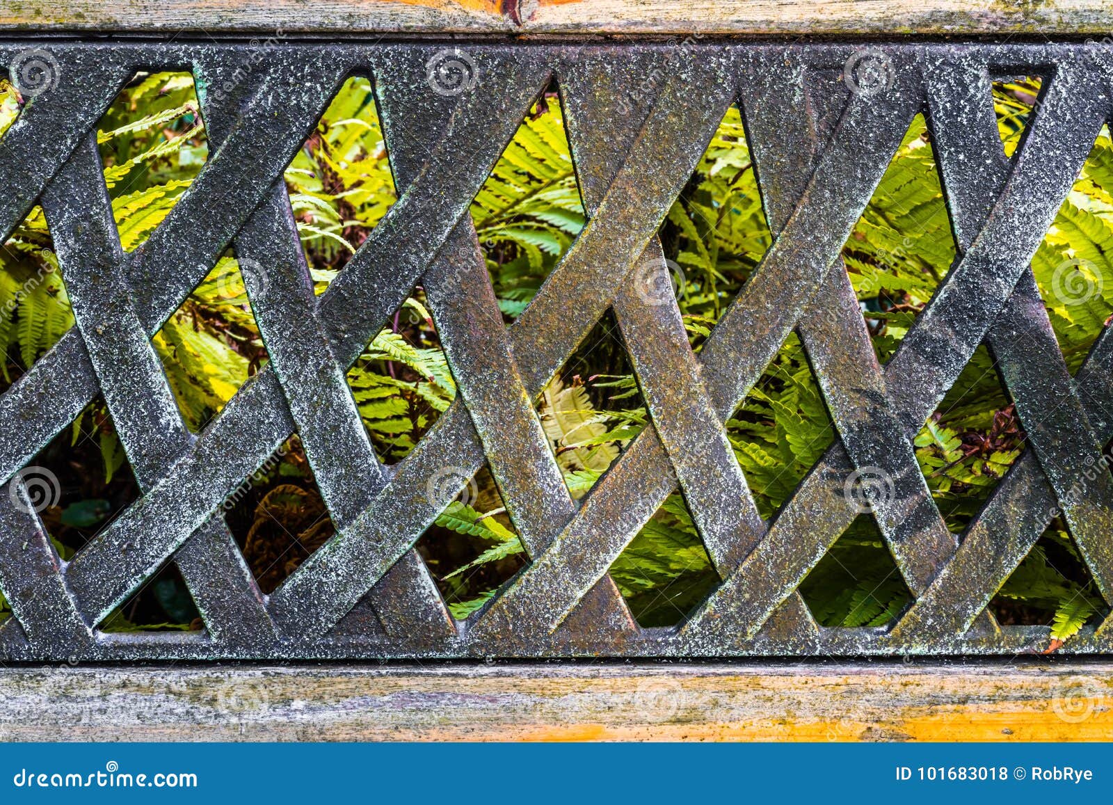 The Old Metal Handmade Back Texture of the Bench with Ferns View Stock ...