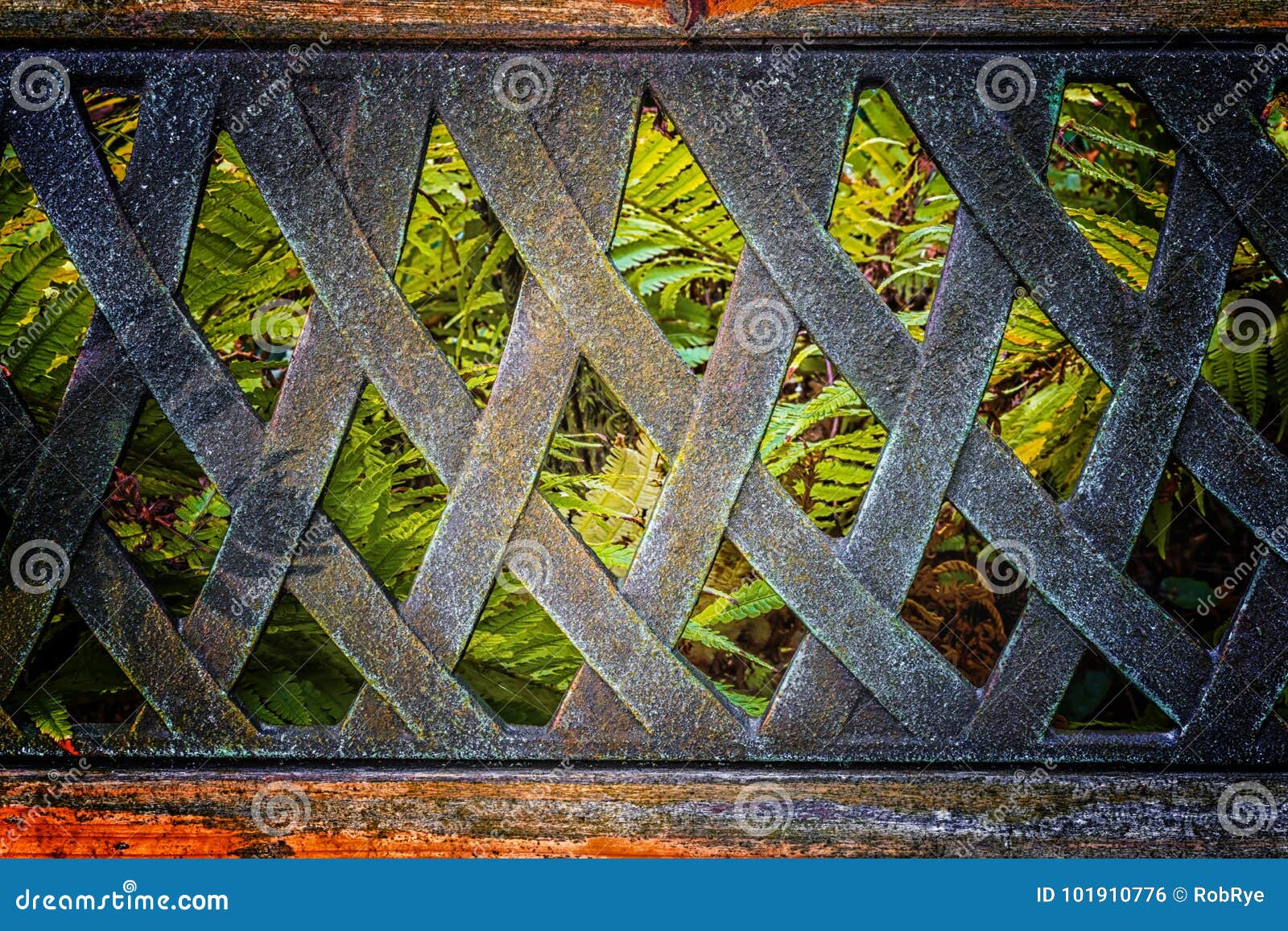 The Old Metal Handmade Back Texture of the Bench with Ferns View Stock ...