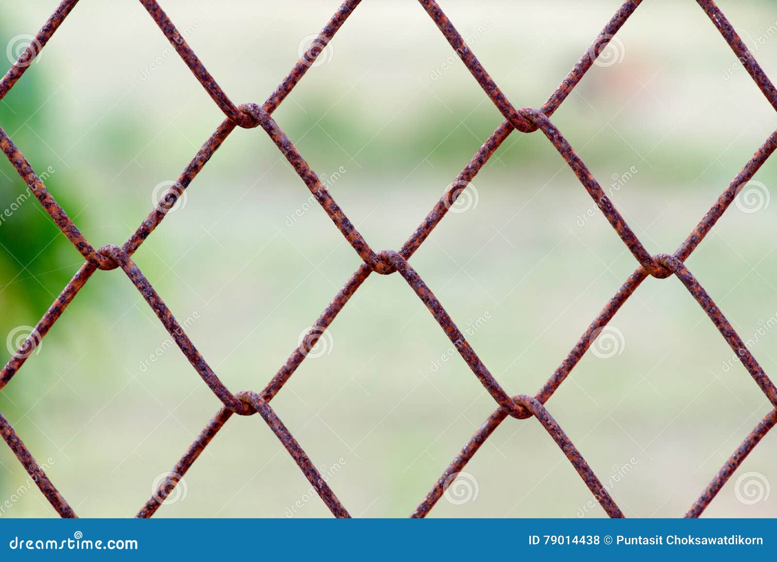Old metal mesh wire fence stock photo. Image of frame - 79014438