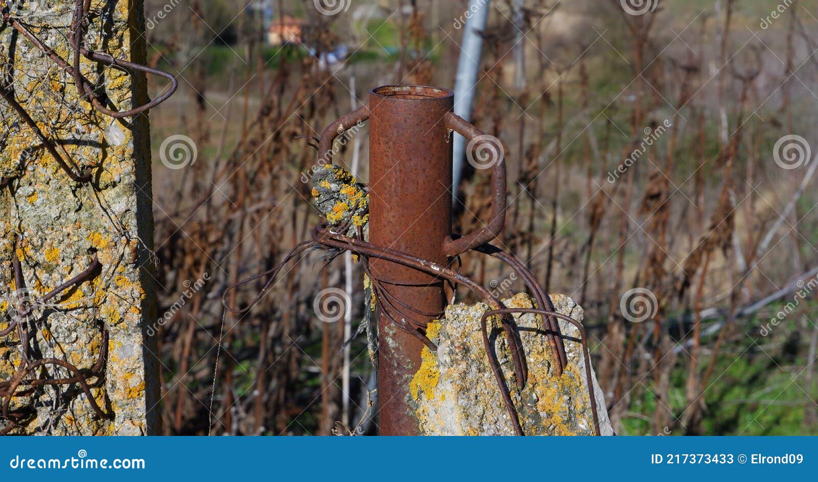 Old Metal Post in the Nature Stock Image - Image of outdoors, object ...