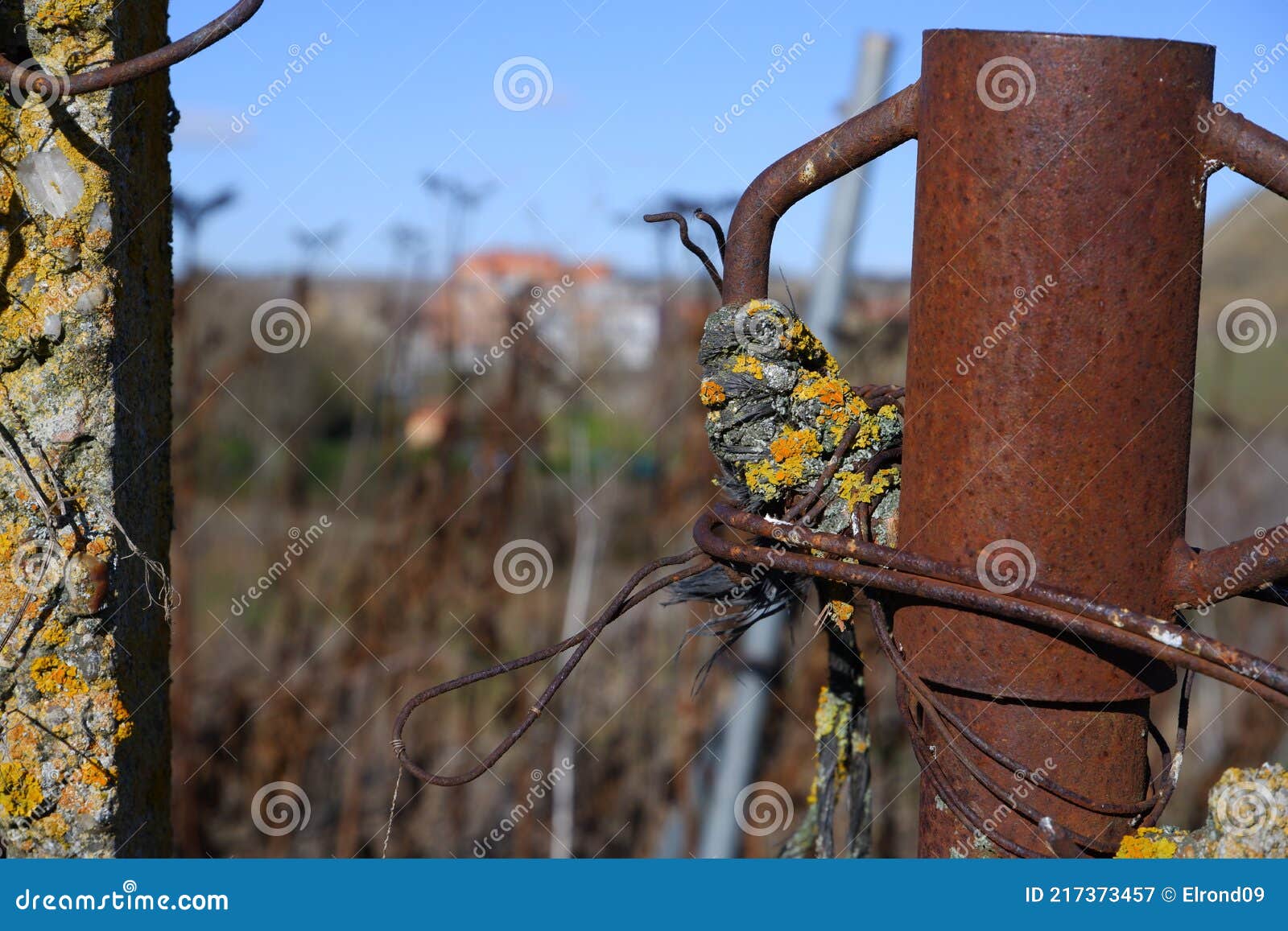 Old Metal Post in the Nature Stock Image - Image of detail, closeup ...
