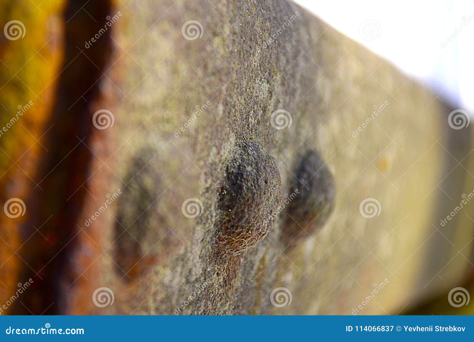 Old metal rivets stock image. Image of pattern, abstract - 114066837