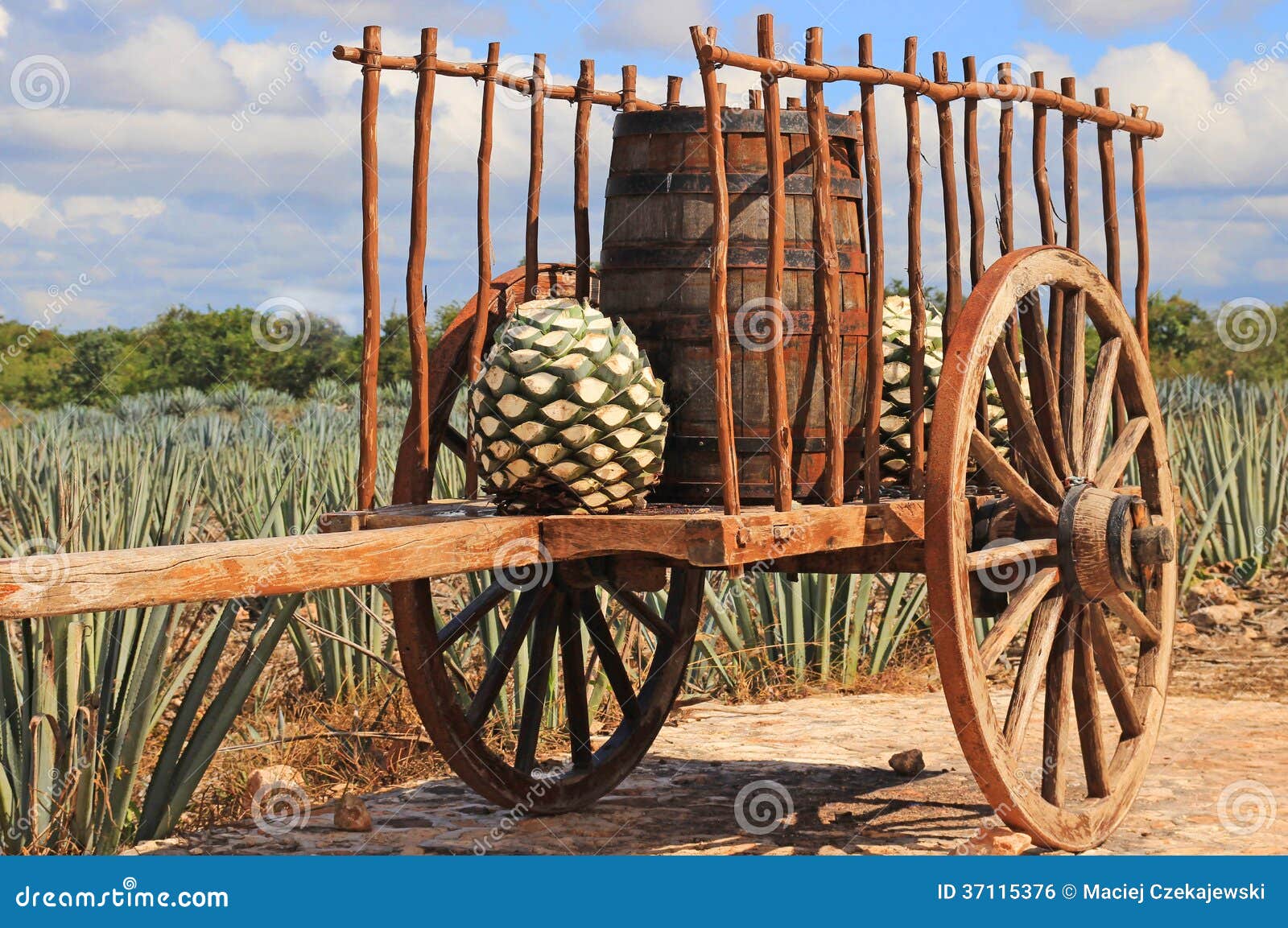 Old mexican trailer stock photo. Image of nature, green - 37115376