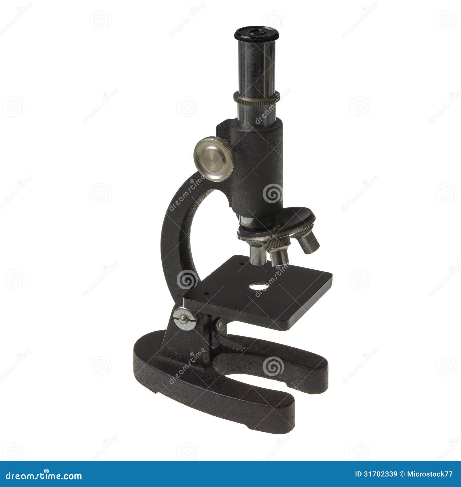 Microscope Of Black Fungus Spore Strain With Lactophenol Cotton Blue ...