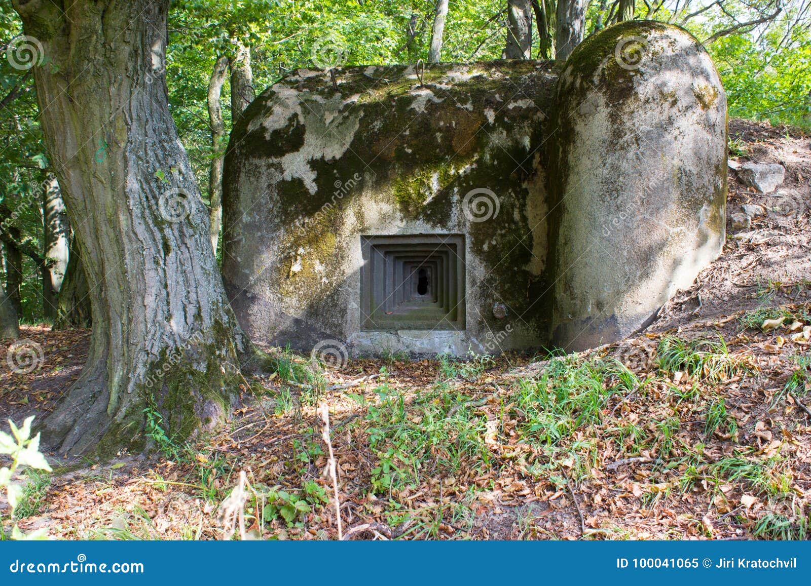 An Old Military Bunker in Forest 2 Stock Image - Image of concrete ...