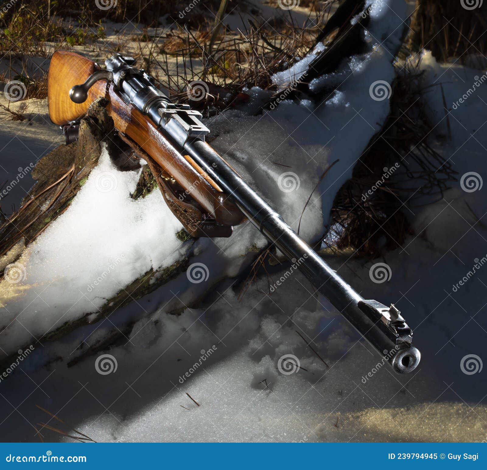 Old Military Surplus Rifle Modified for Hunting Stock Image - Image of ...