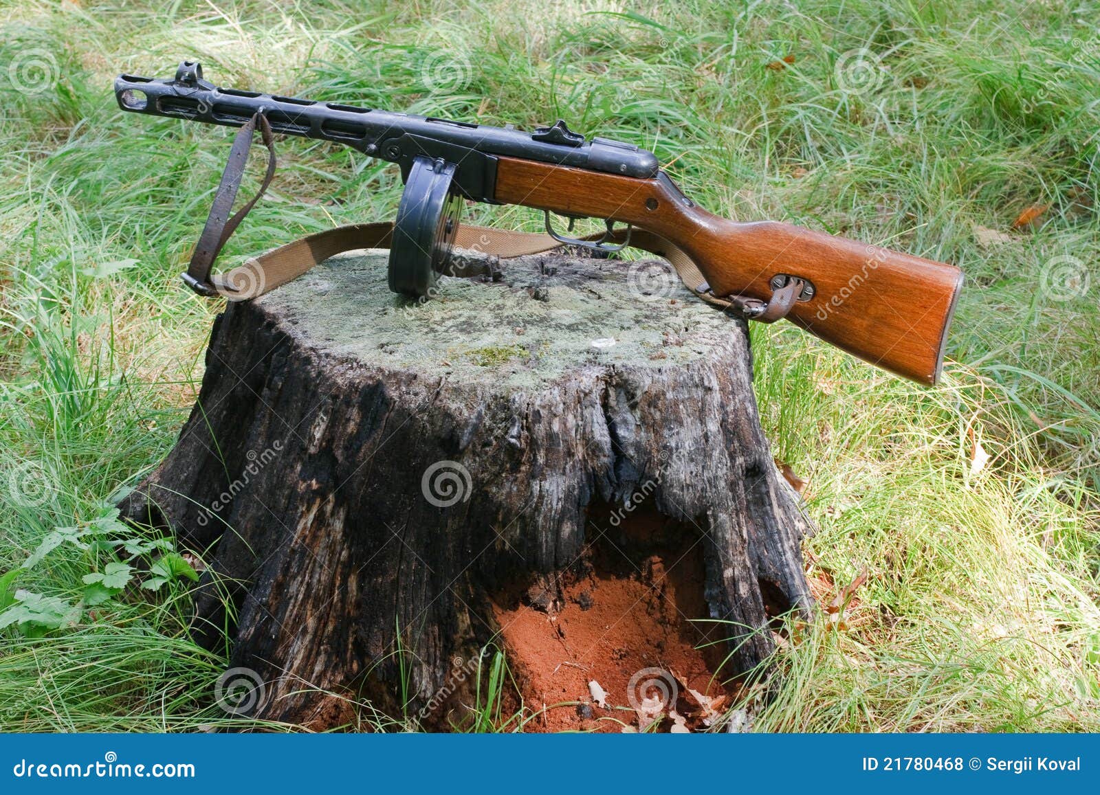 The old military weapons stock photo. Image of forest - 21780468