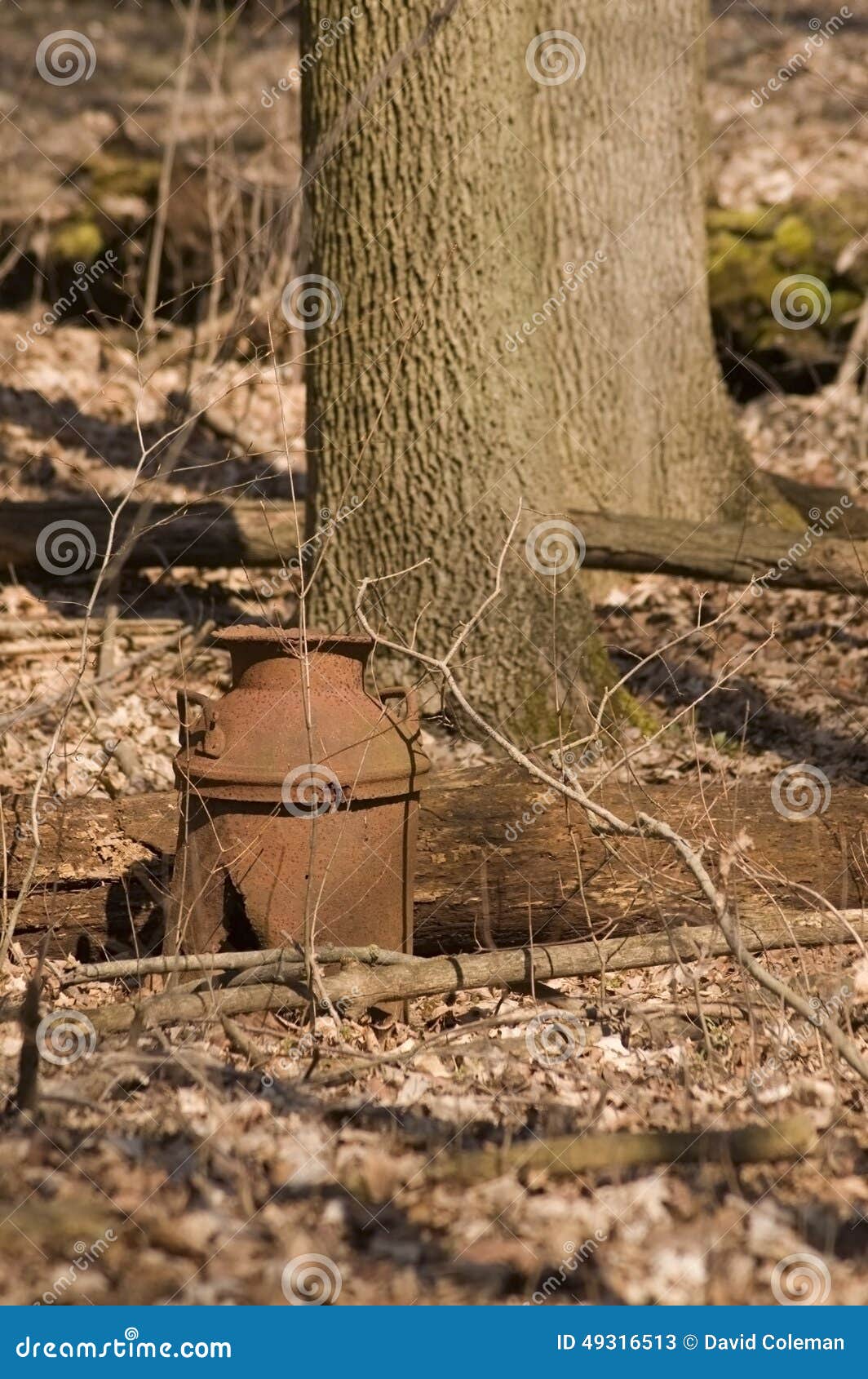 21,312 Milk Forest Stock Photos - Free & Royalty-Free Stock Photos from ...