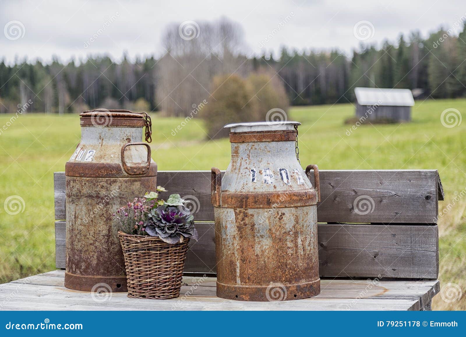 Old Milk Cans stock photo. Image of milk, small, chain - 79251178