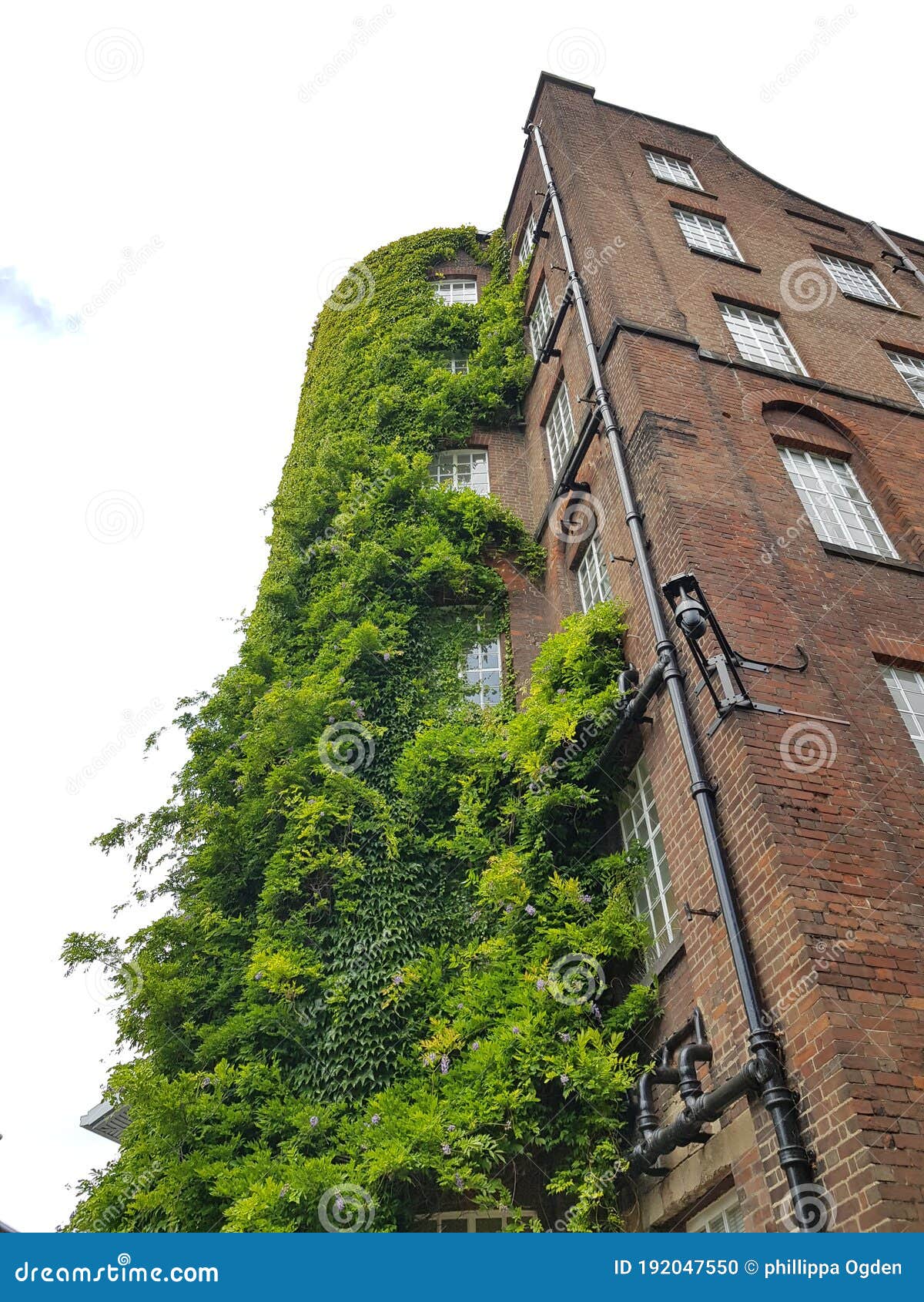 Old Mill Building in Norfolk Stock Photo - Image of norfolk, mill ...