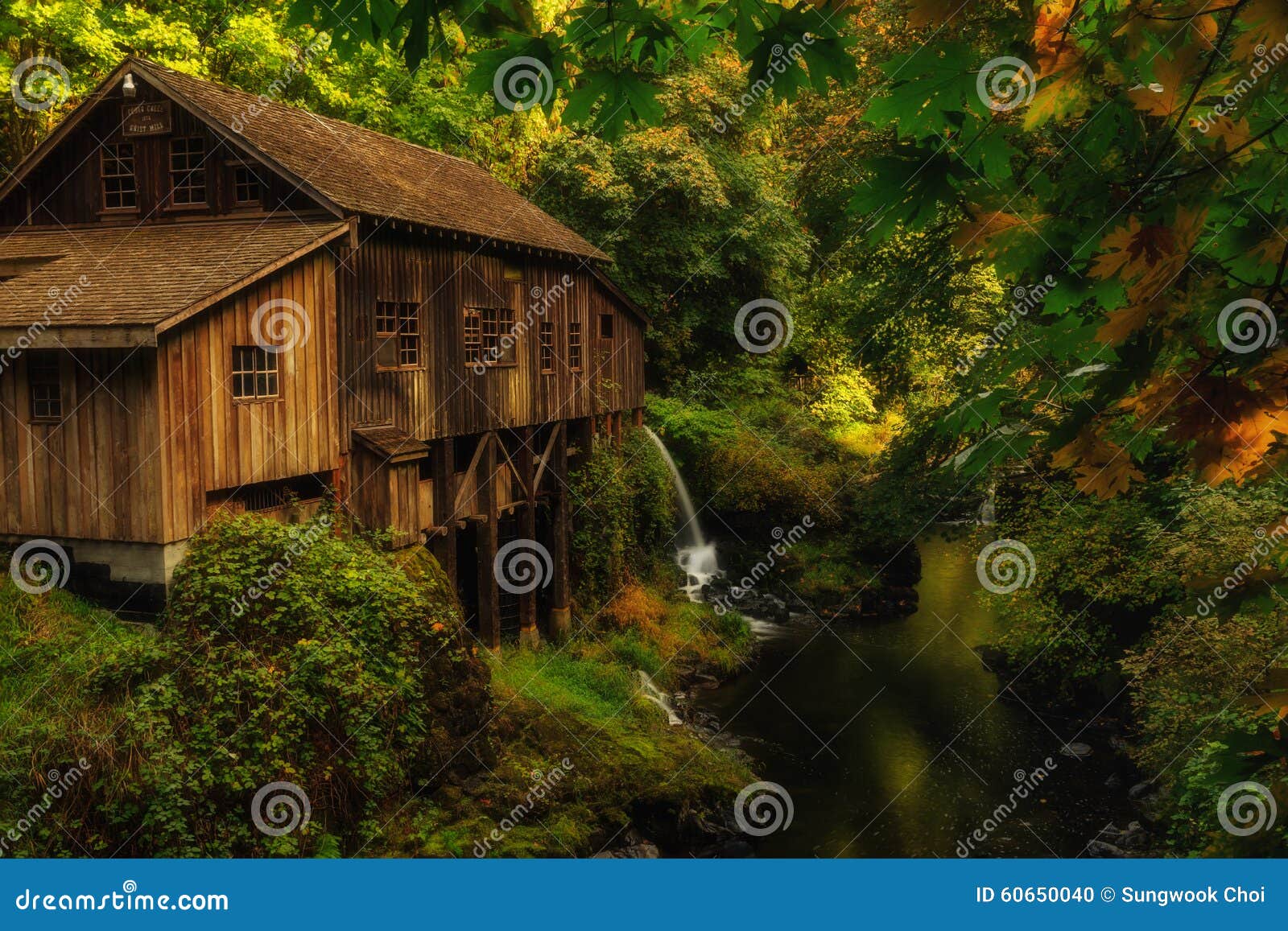 Old mill and fall stock photo. Image of trees, light - 60650040