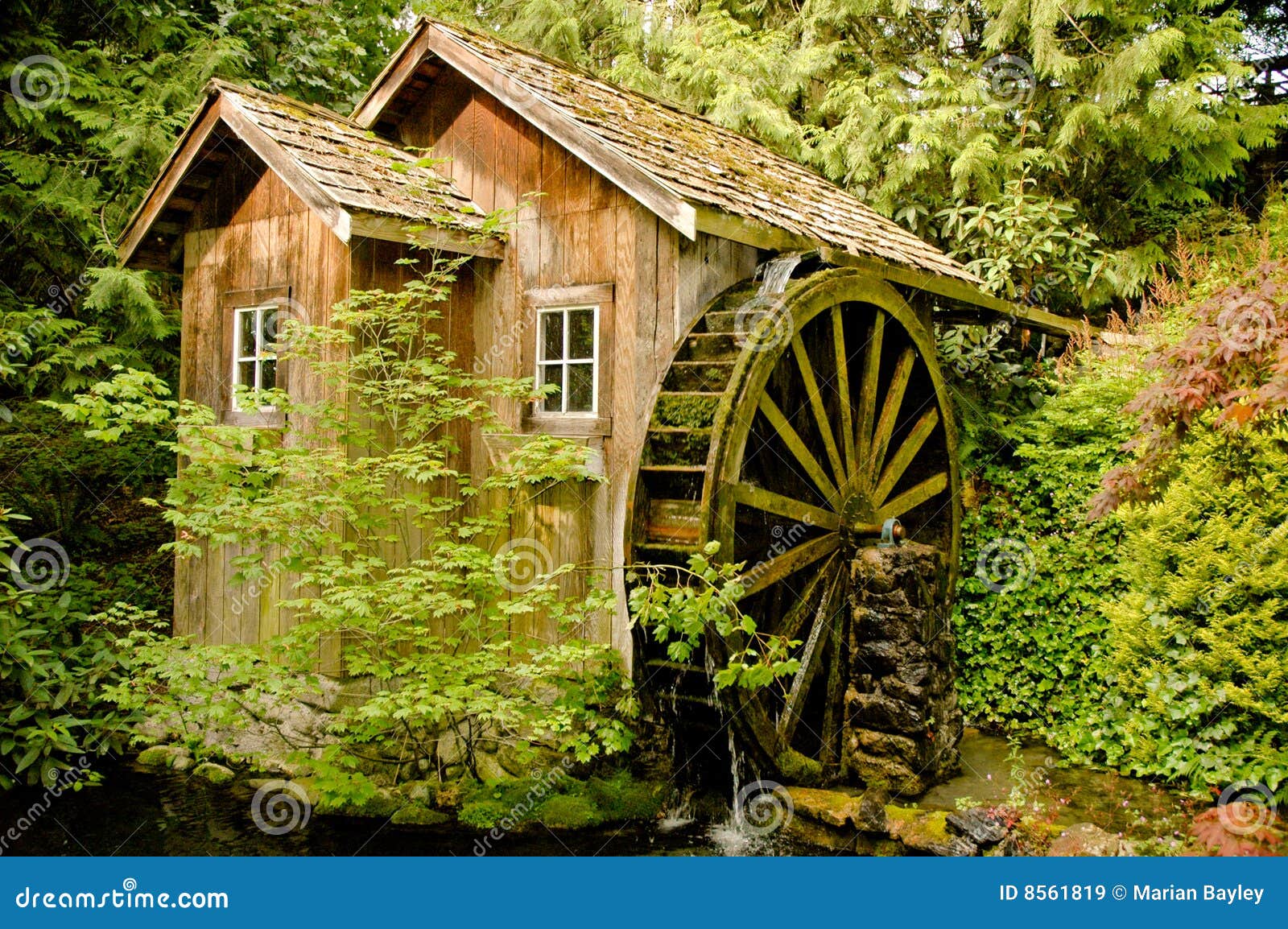 Old Mill on Stream stock image. Image of wood, wheel, green - 8561819