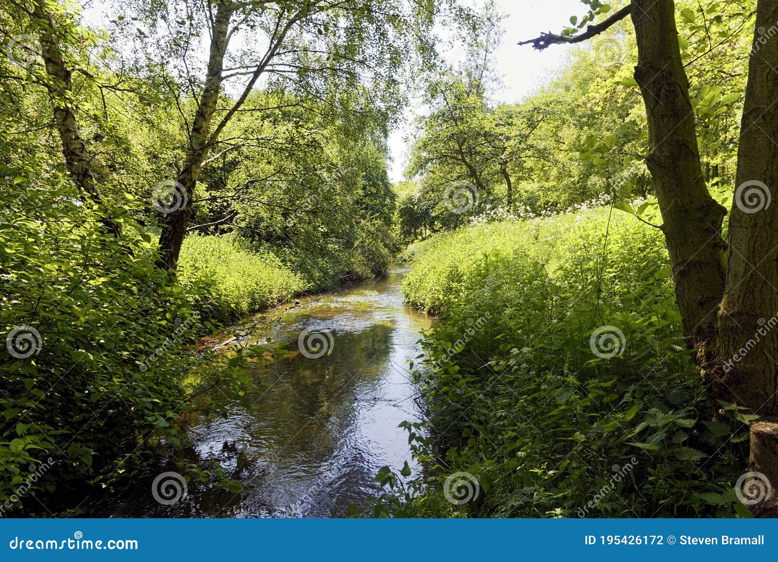 Old Mill Stream Winding through a Woodland Stock Photo - Image of ...