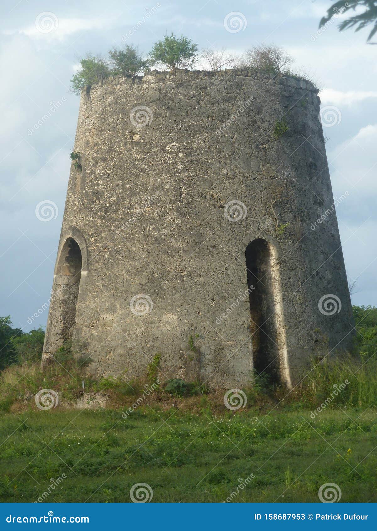 An Old Mill on Which Trees Grow Stock Image - Image of mill, ruined ...