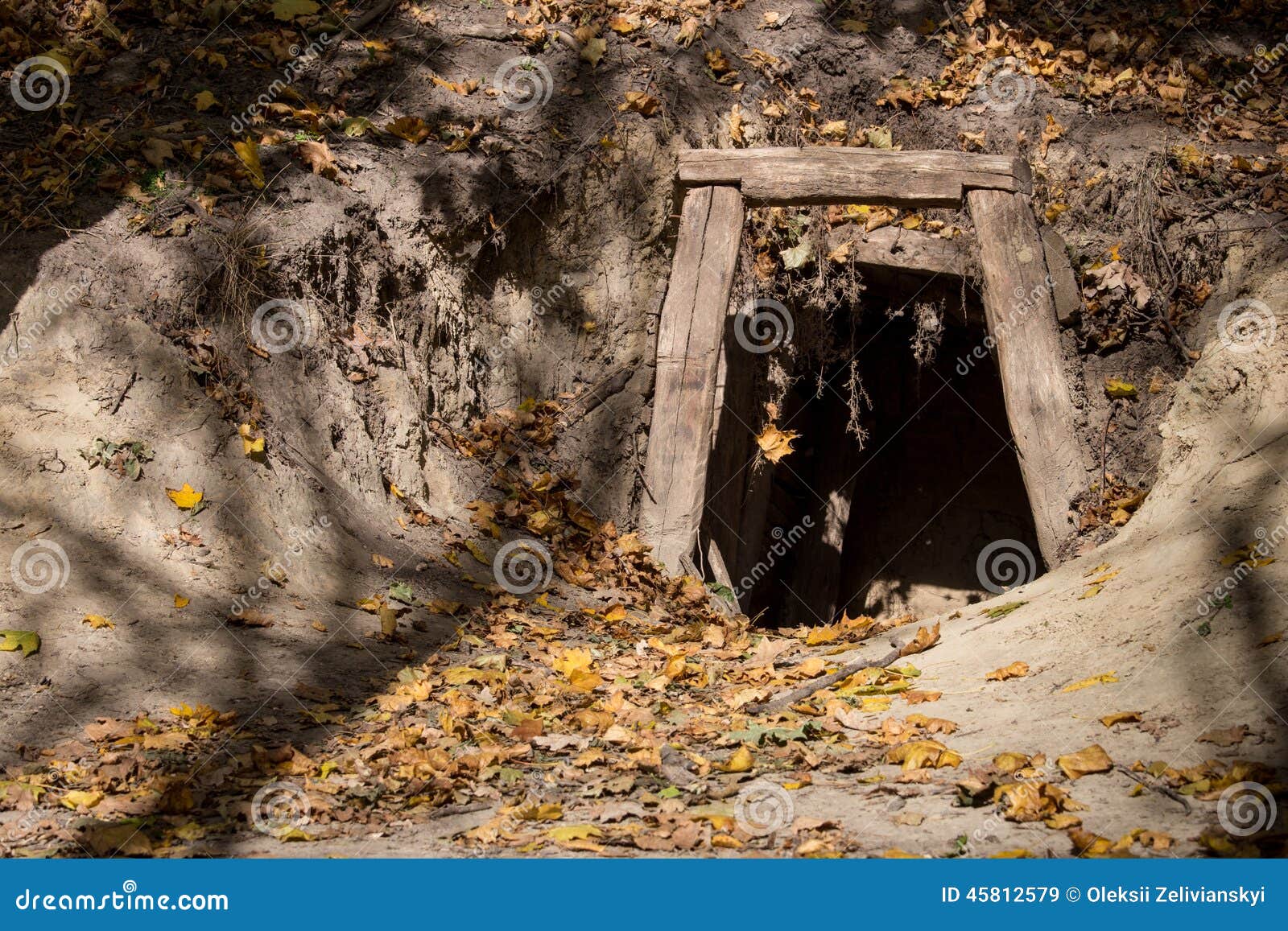 Old Mine Entrance Royalty-Free Stock Image | CartoonDealer.com #22686394