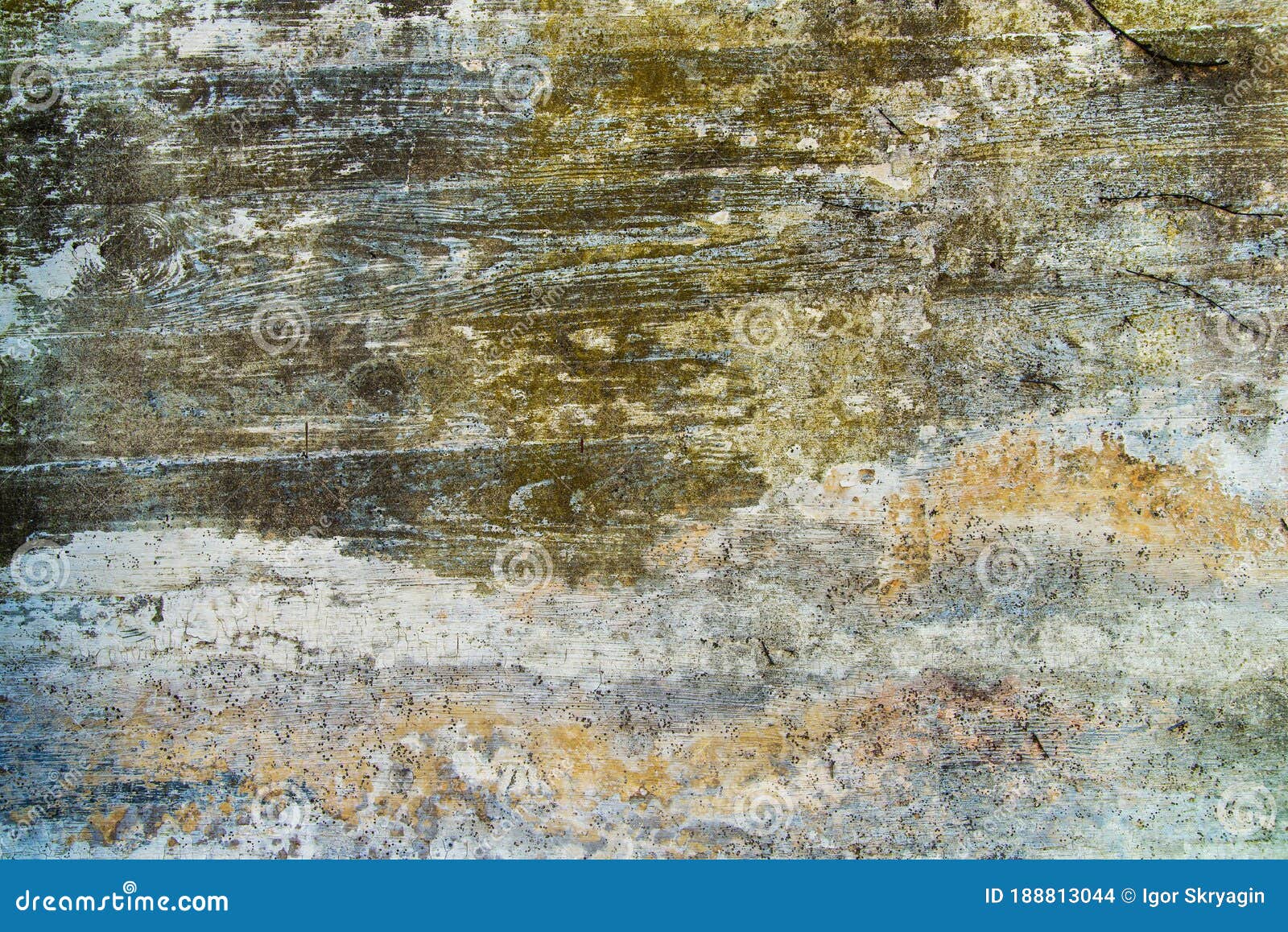 Old mold board stock photo. Image of timber, wood, abstract - 188813044